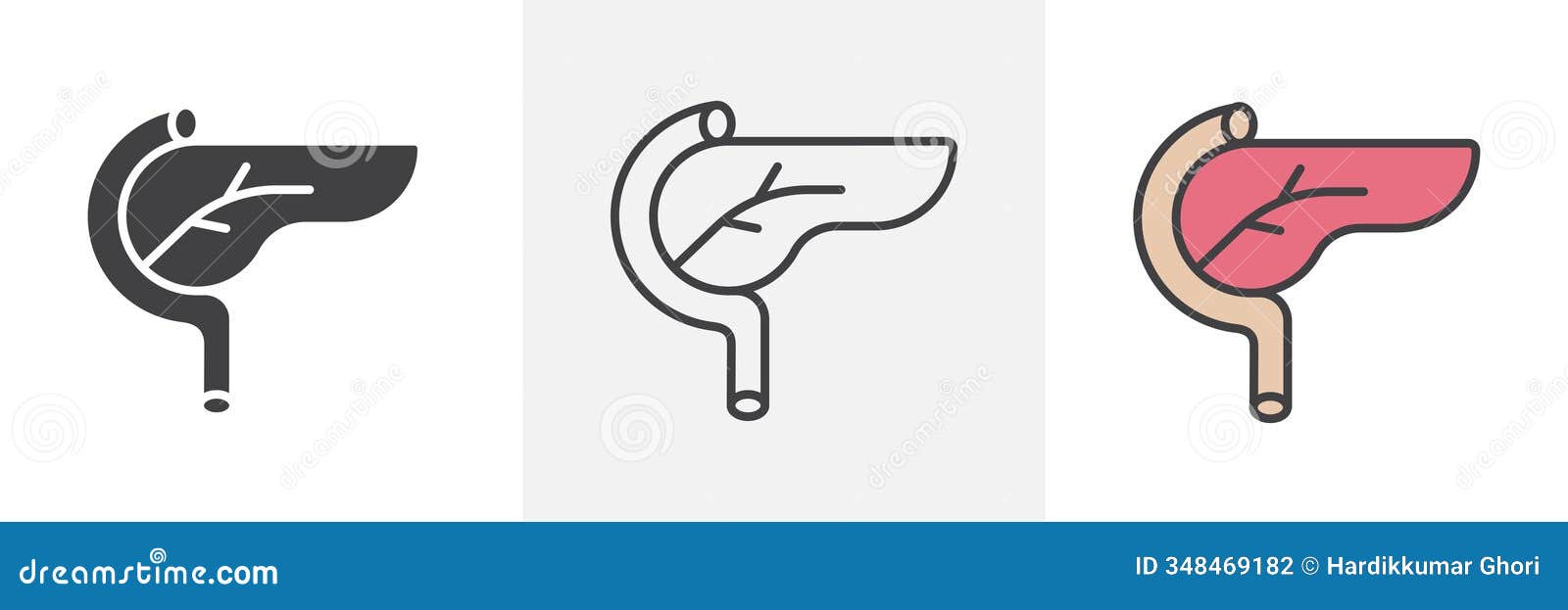 Pancreas icon vector stock illustration. Illustration of stomach ...