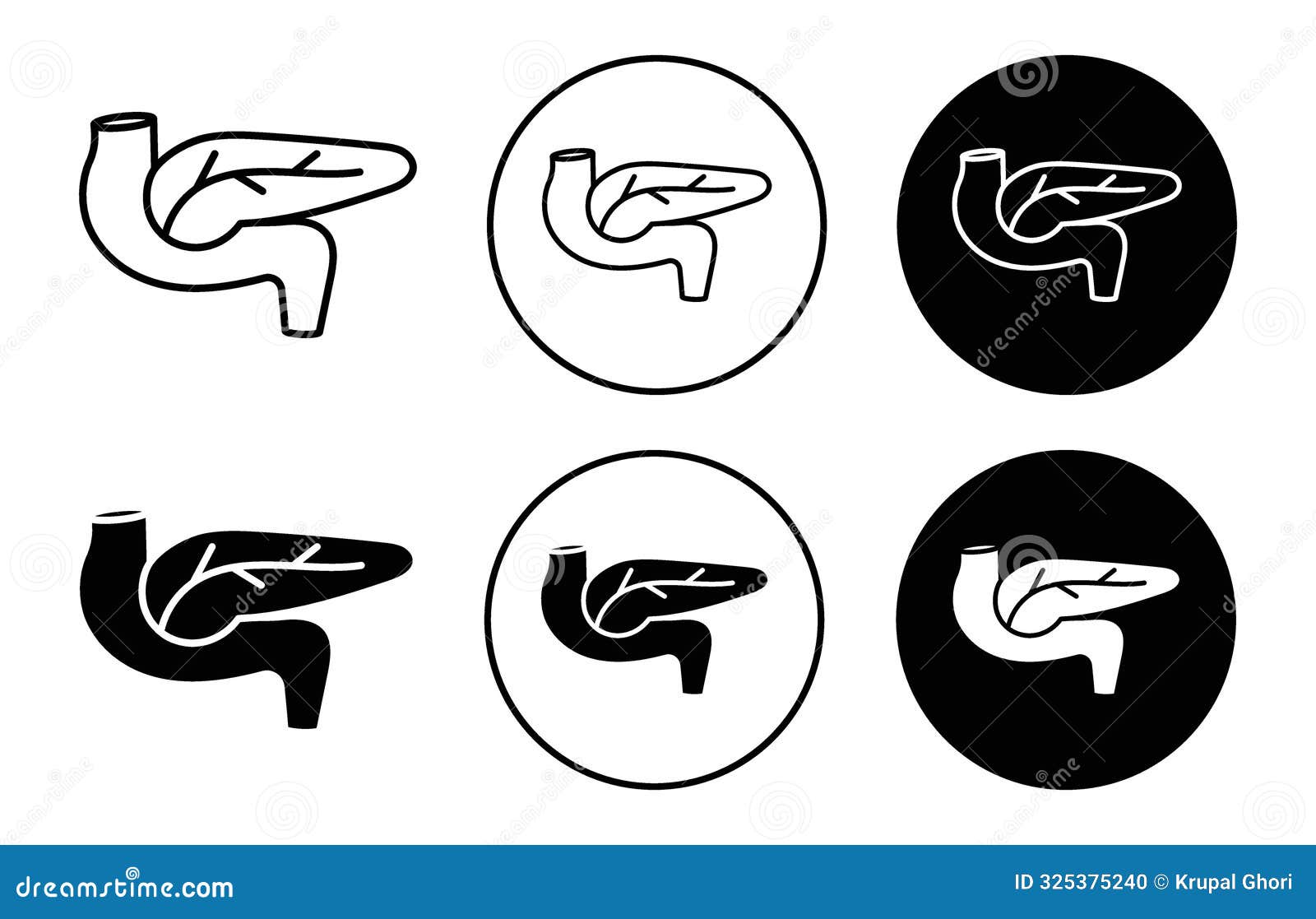 Pancreas icon stock vector. Illustration of system, icon - 325375240