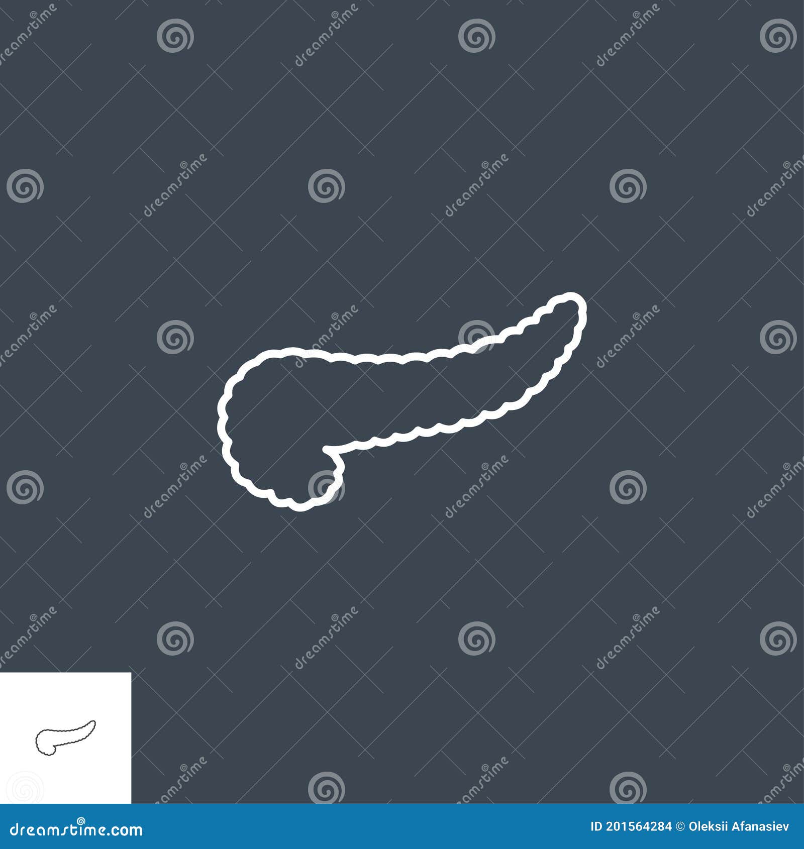Pancreas Vector Line Icons stock vector. Illustration of body - 201564284