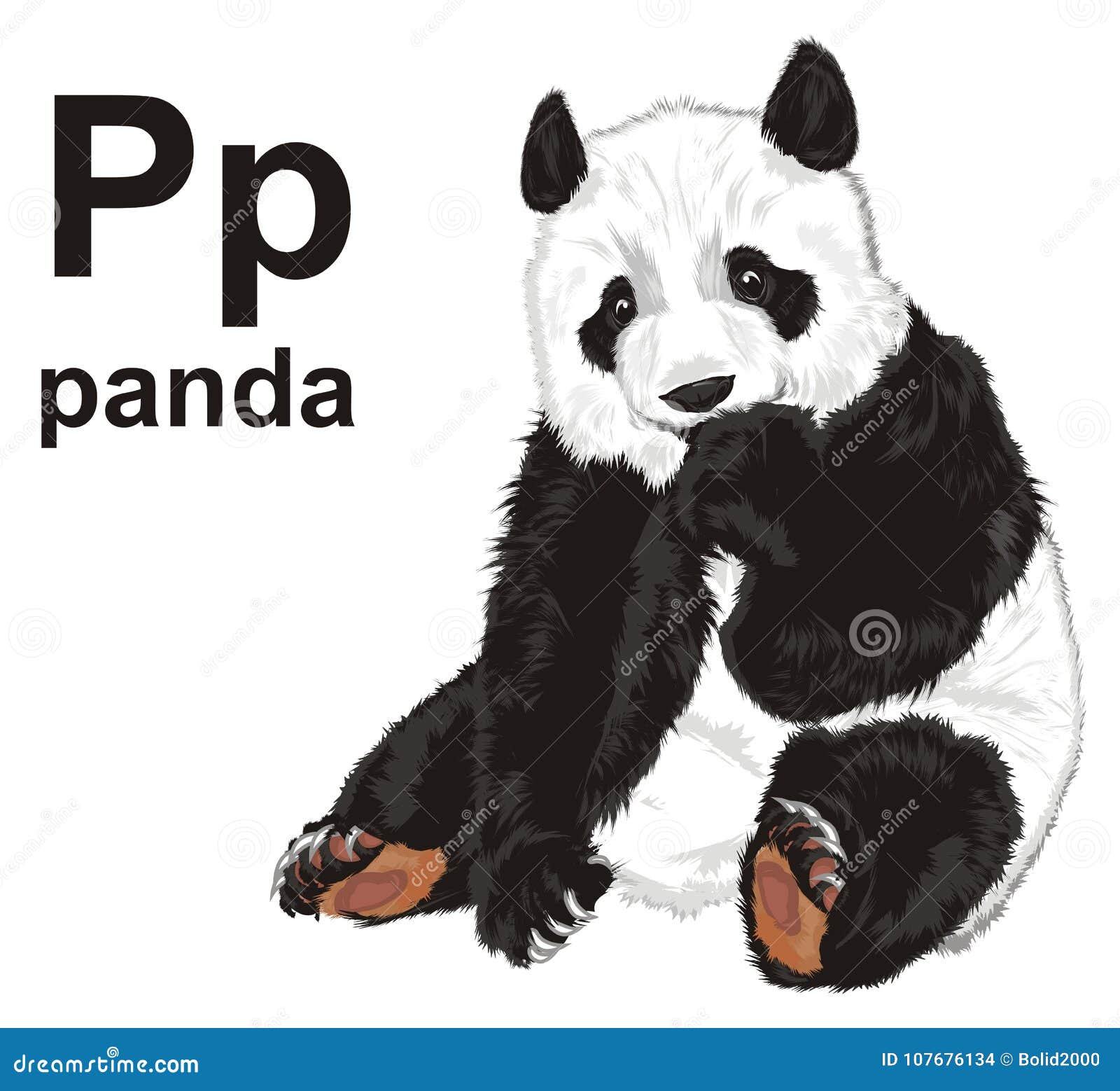 Panda and abc stock illustration. Illustration of animal - 107676134