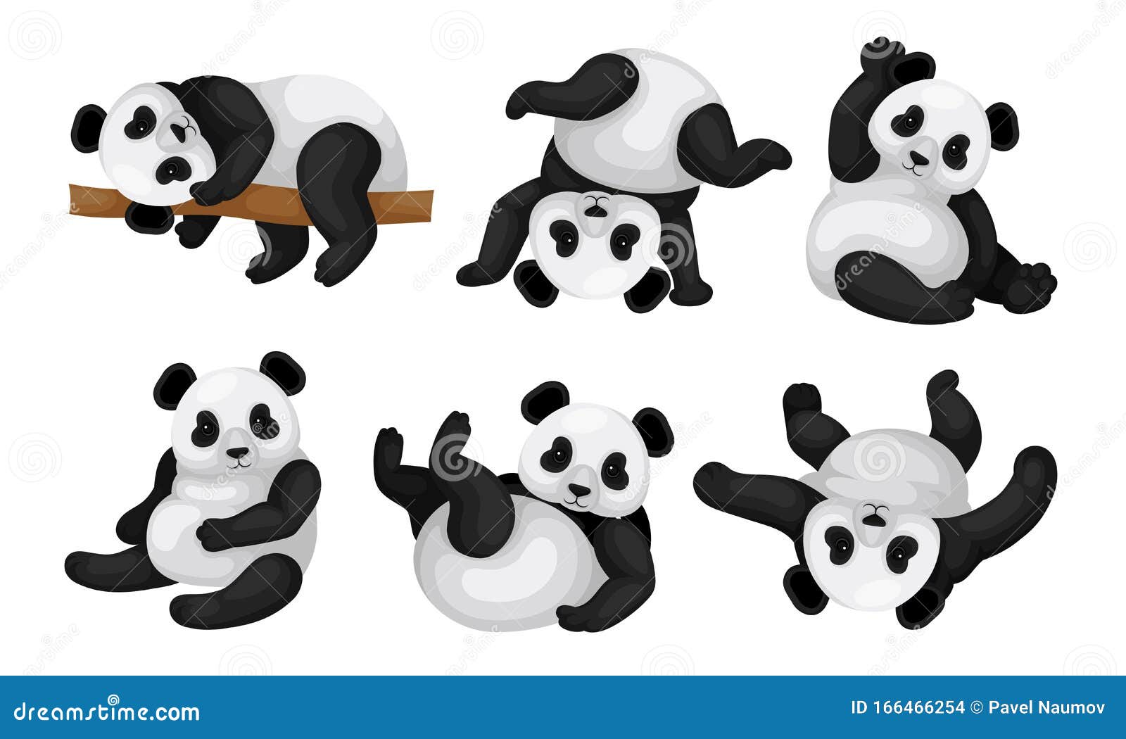 Panda Animal in Different Poses Vector Set. Bear Lying on the Tree and ...