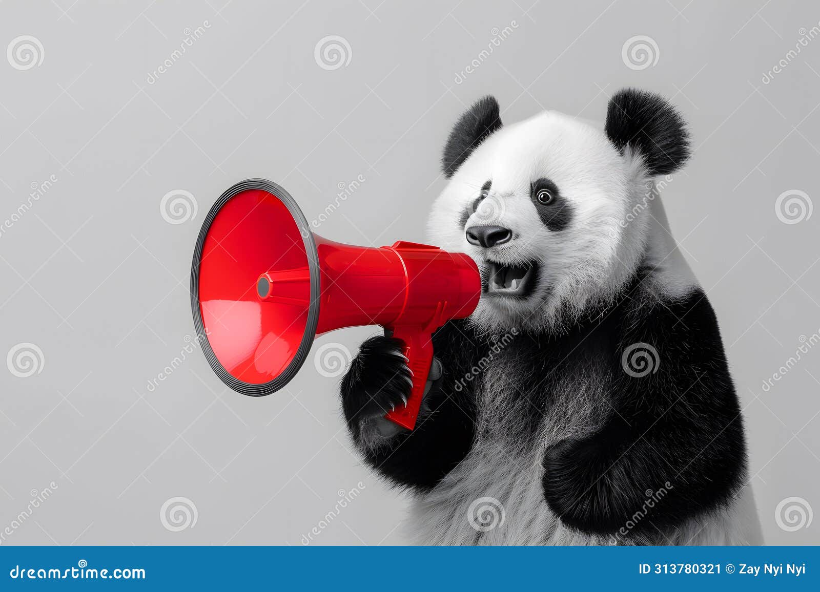 Panda Announcing Using Megaphone. Notifying, Warning, Announcement ...