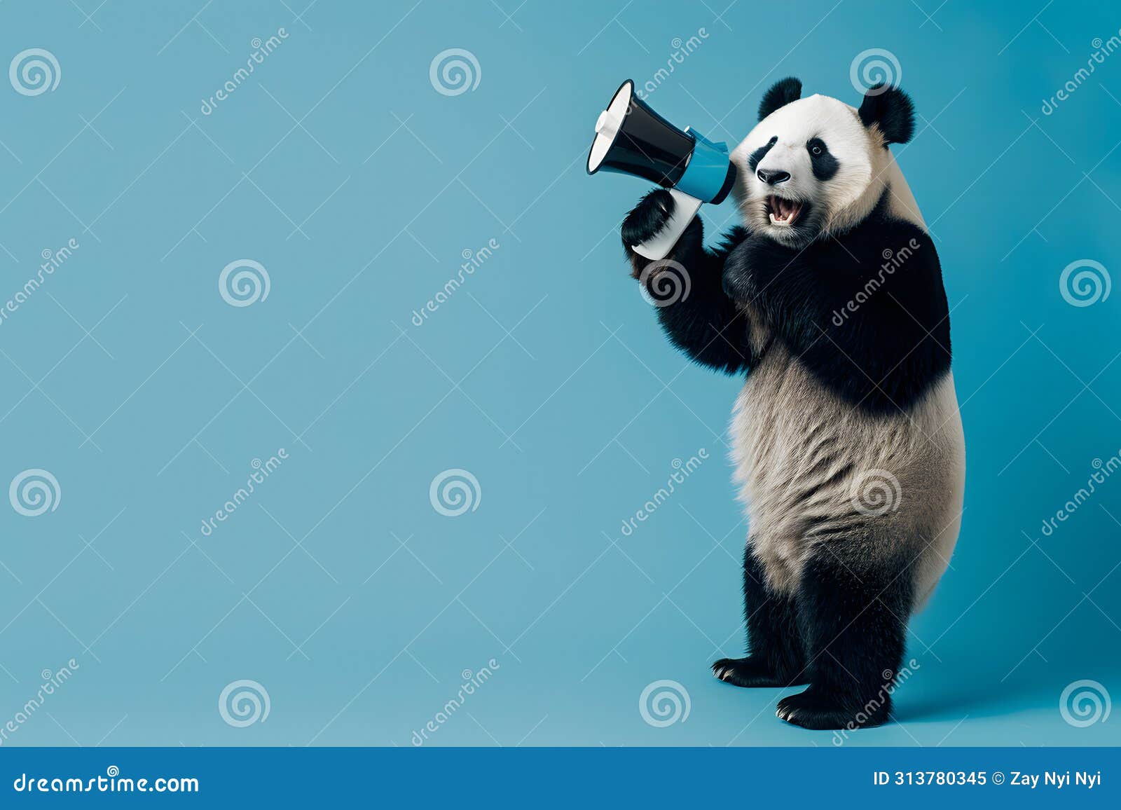 Panda Announcing Using Megaphone. Notifying, Warning, Announcement ...