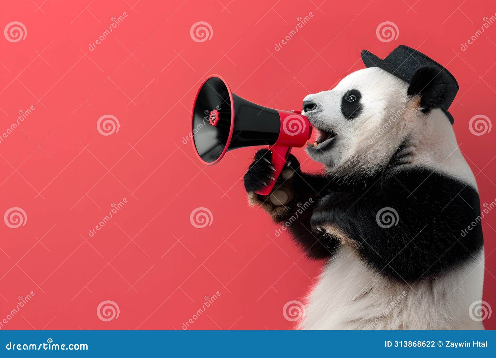 Panda Announcing Using Megaphone. Notifying, Warning, Announcement ...