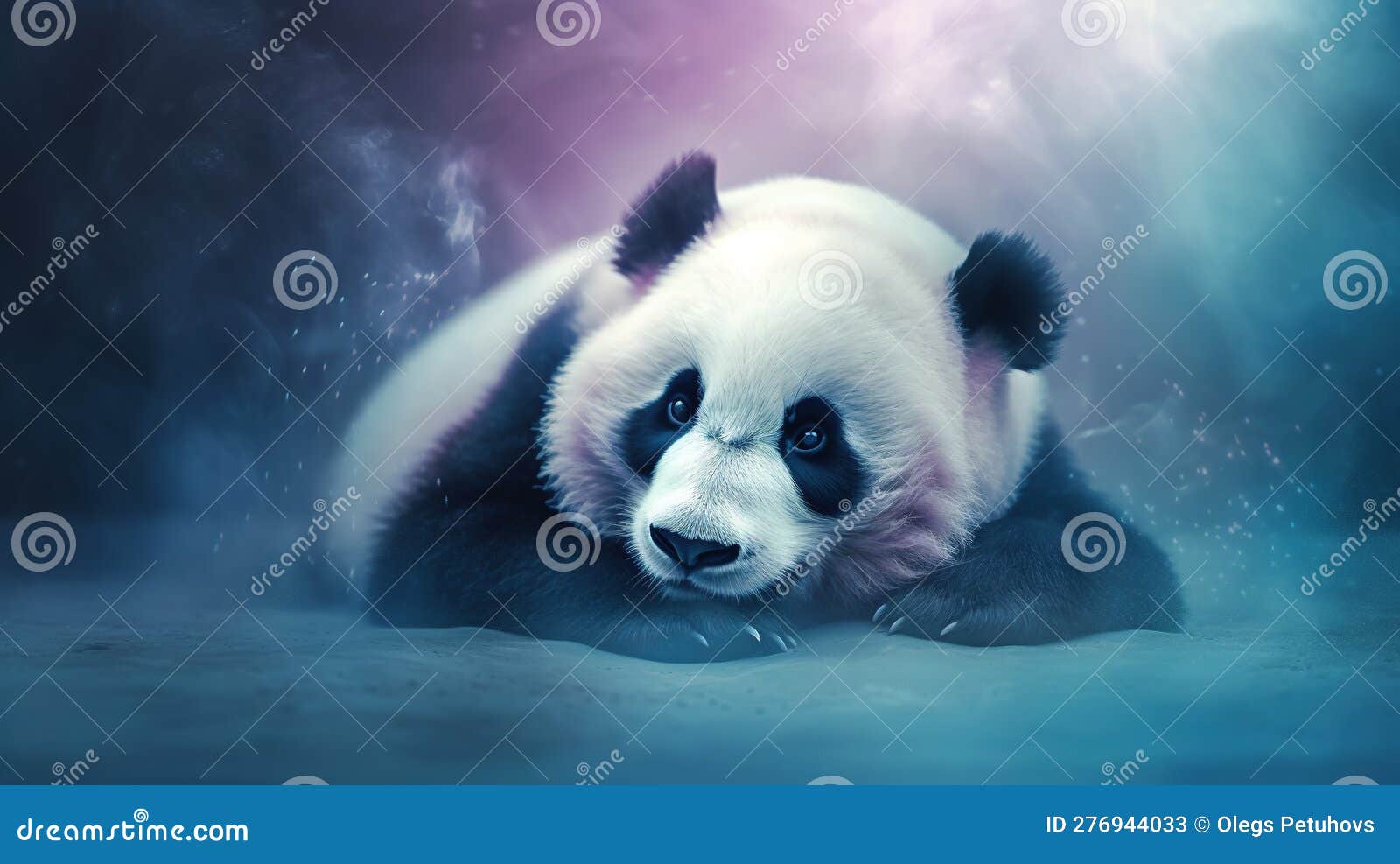 Baby Panda Bear Wallpapers