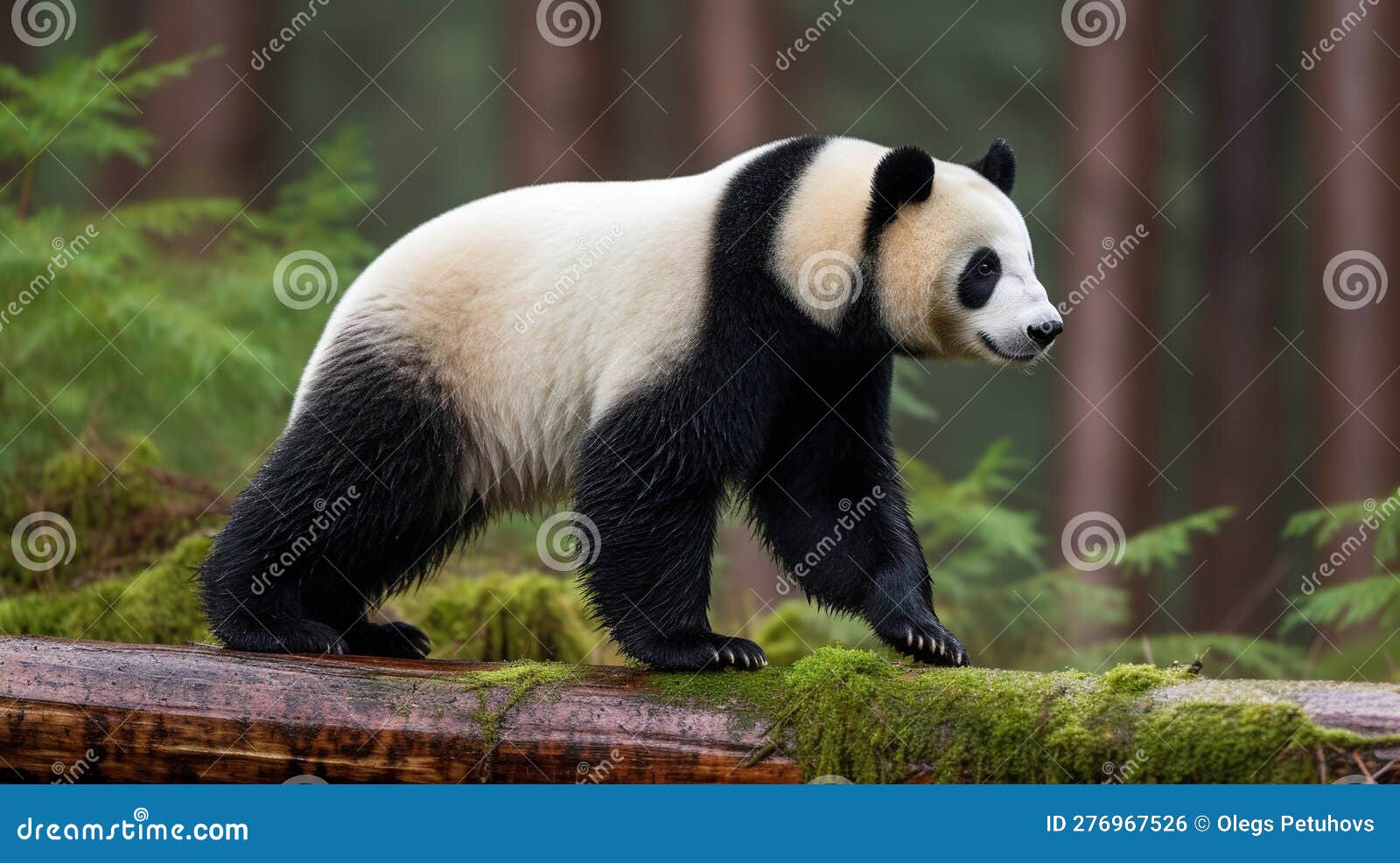 A Panda Bear Standing on a Log in a Forest Area Stock Illustration ...
