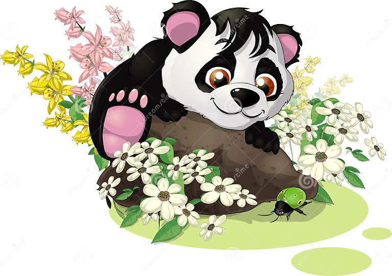 Panda and bug stock vector. Illustration of isolated - 33883764