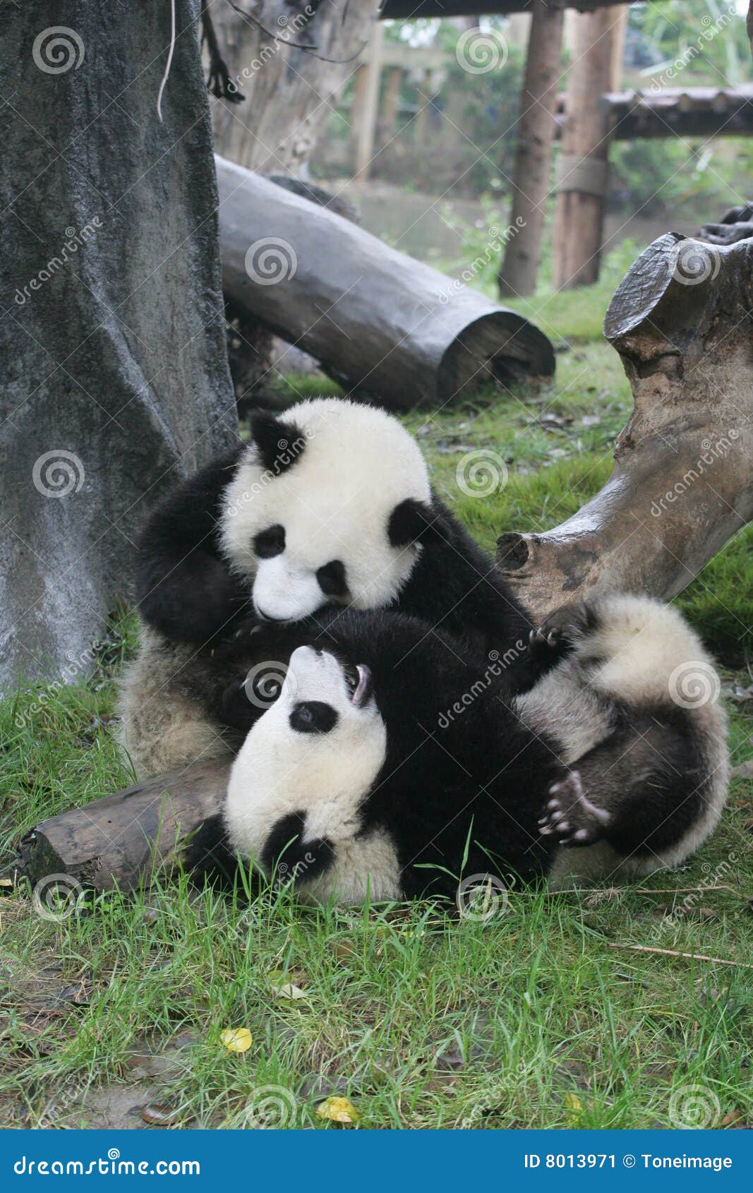 Panda Hill Stock Photos - Free & Royalty-Free Stock Photos from Dreamstime