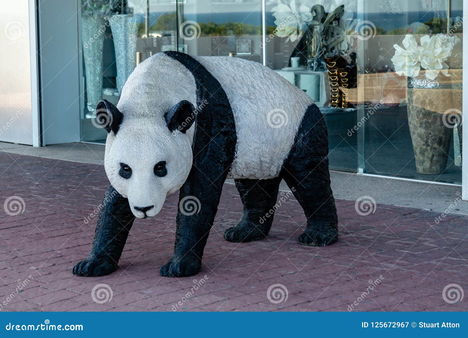 Panda on Guard stock image. Image of store, panda, white - 125672967