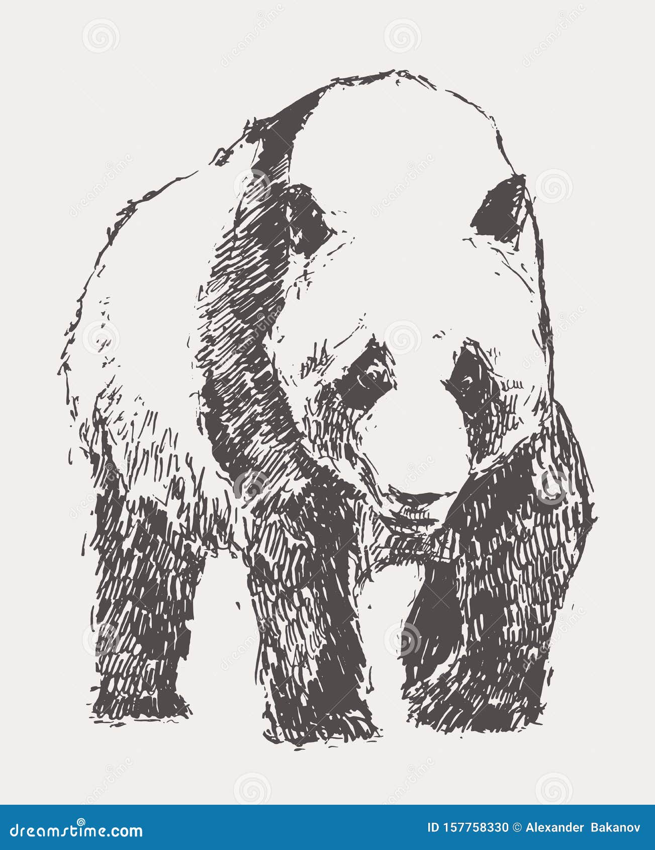 Panda Hand Drawn Vector Illustration Sketch Linear Stock Vector ...