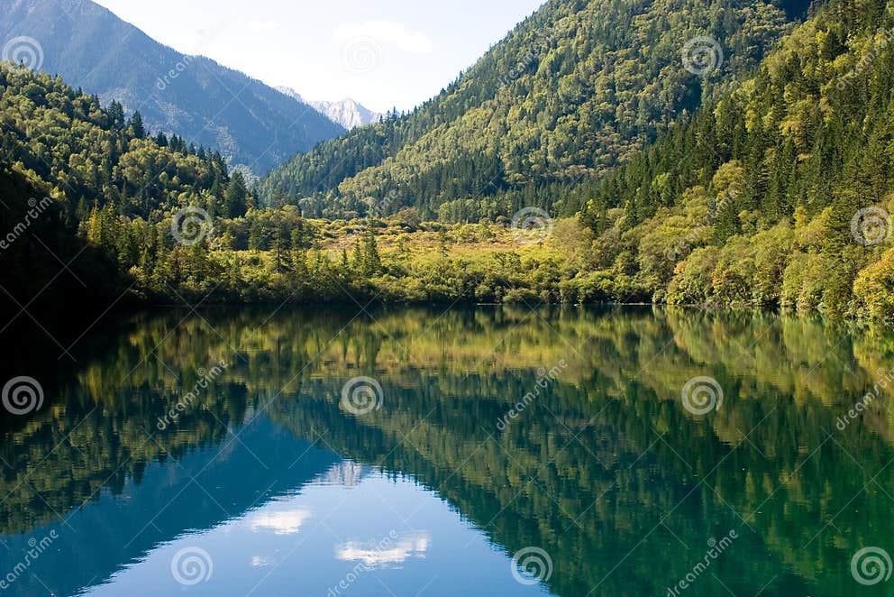 Panda lake stock image. Image of beautiful, colorful - 11191655