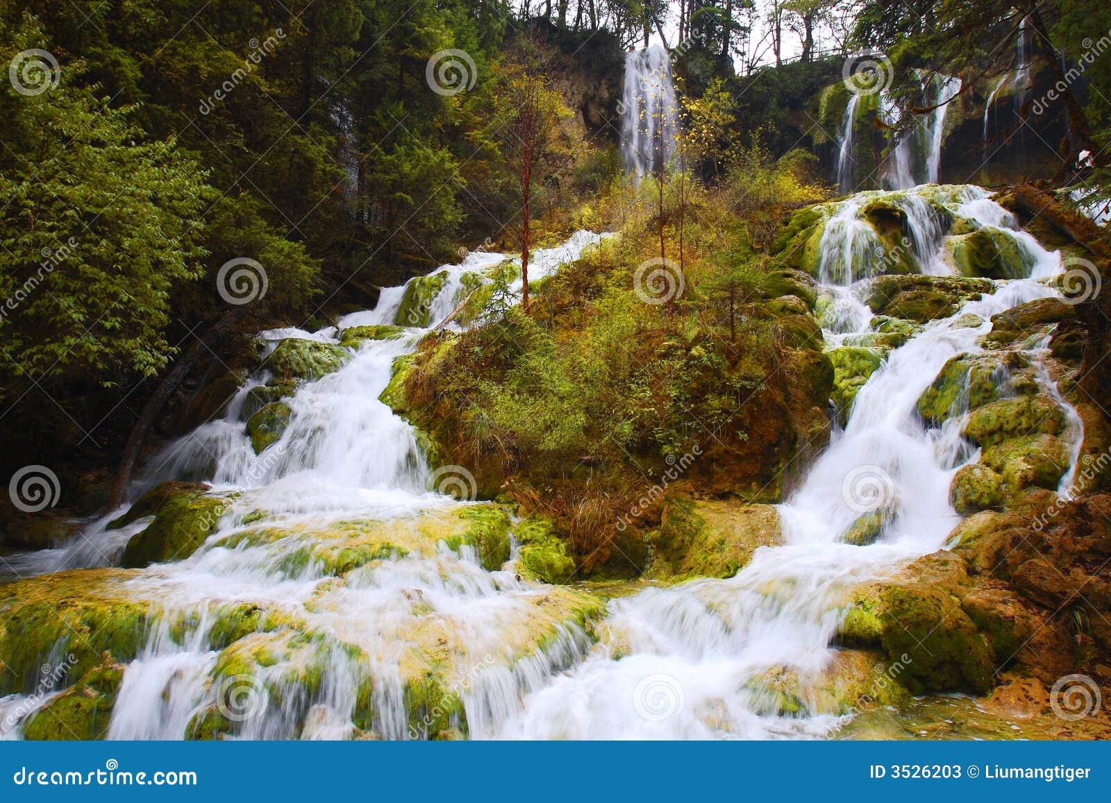 Panda Lake Waterfalls in Jiuzhai Valley Stock Image - Image of ...