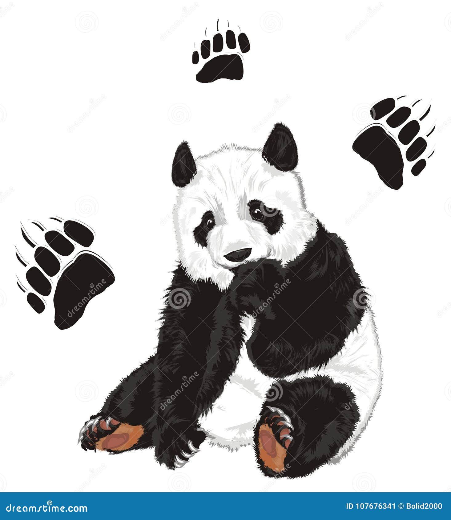 Bear and footprints stock illustration. Illustration of symbol - 107676341