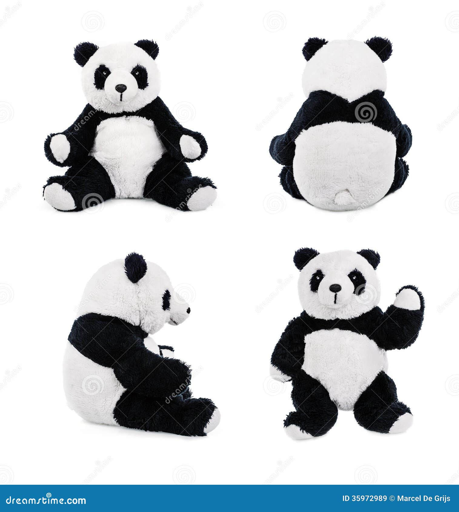 Panda teddy bear positions stock image. Image of shot - 35972989