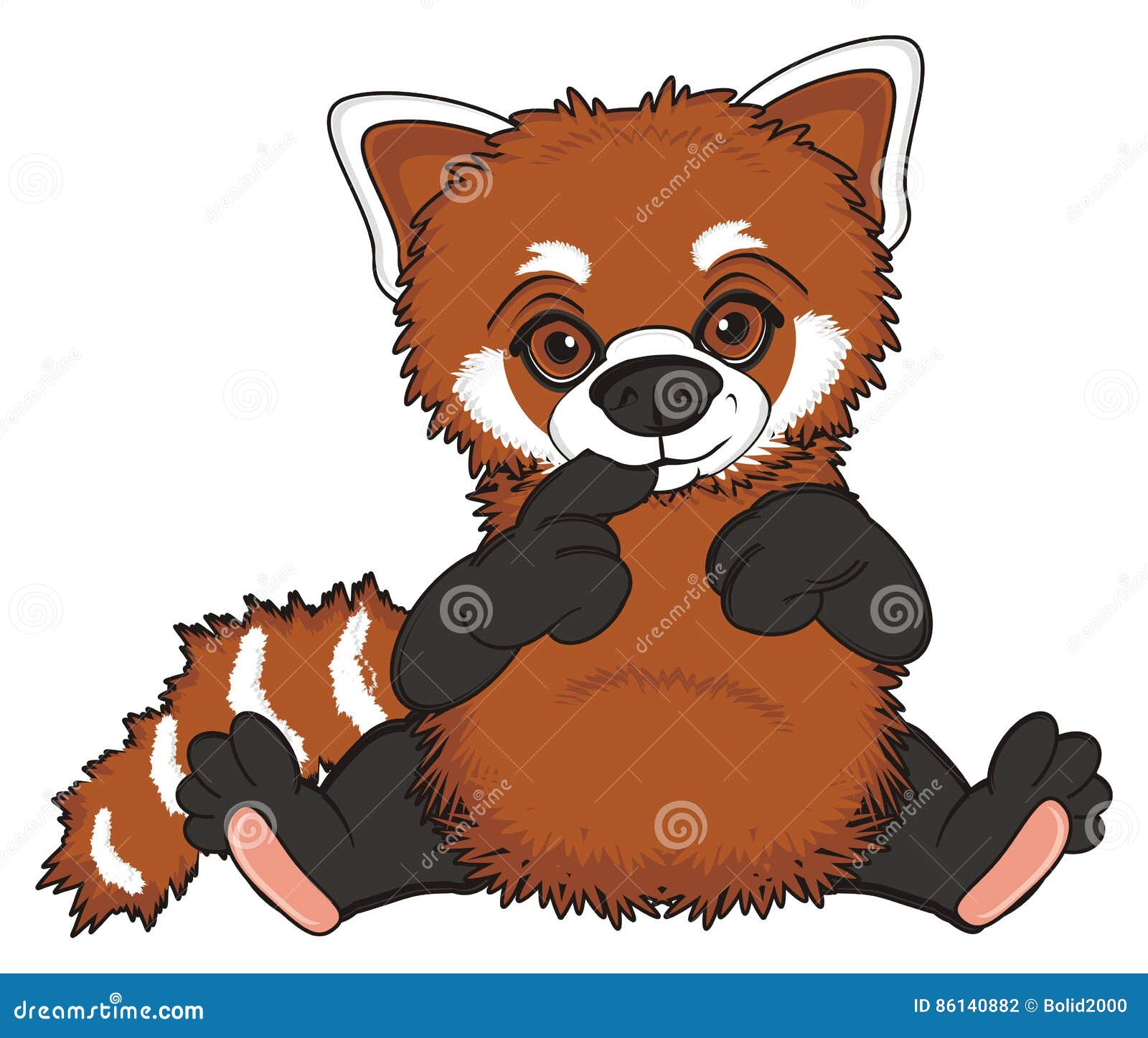 Panda vermelha tímida ilustração stock. Ilustração de cauda - 86140882