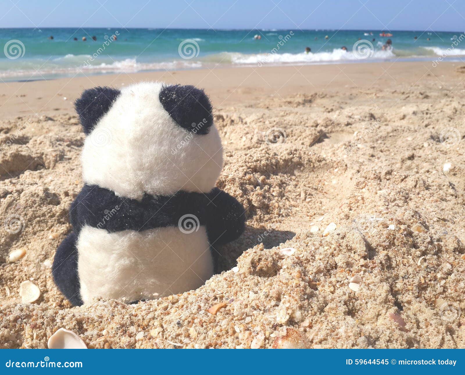 Panda watching the sea stock image. Image of water, beach - 59644545