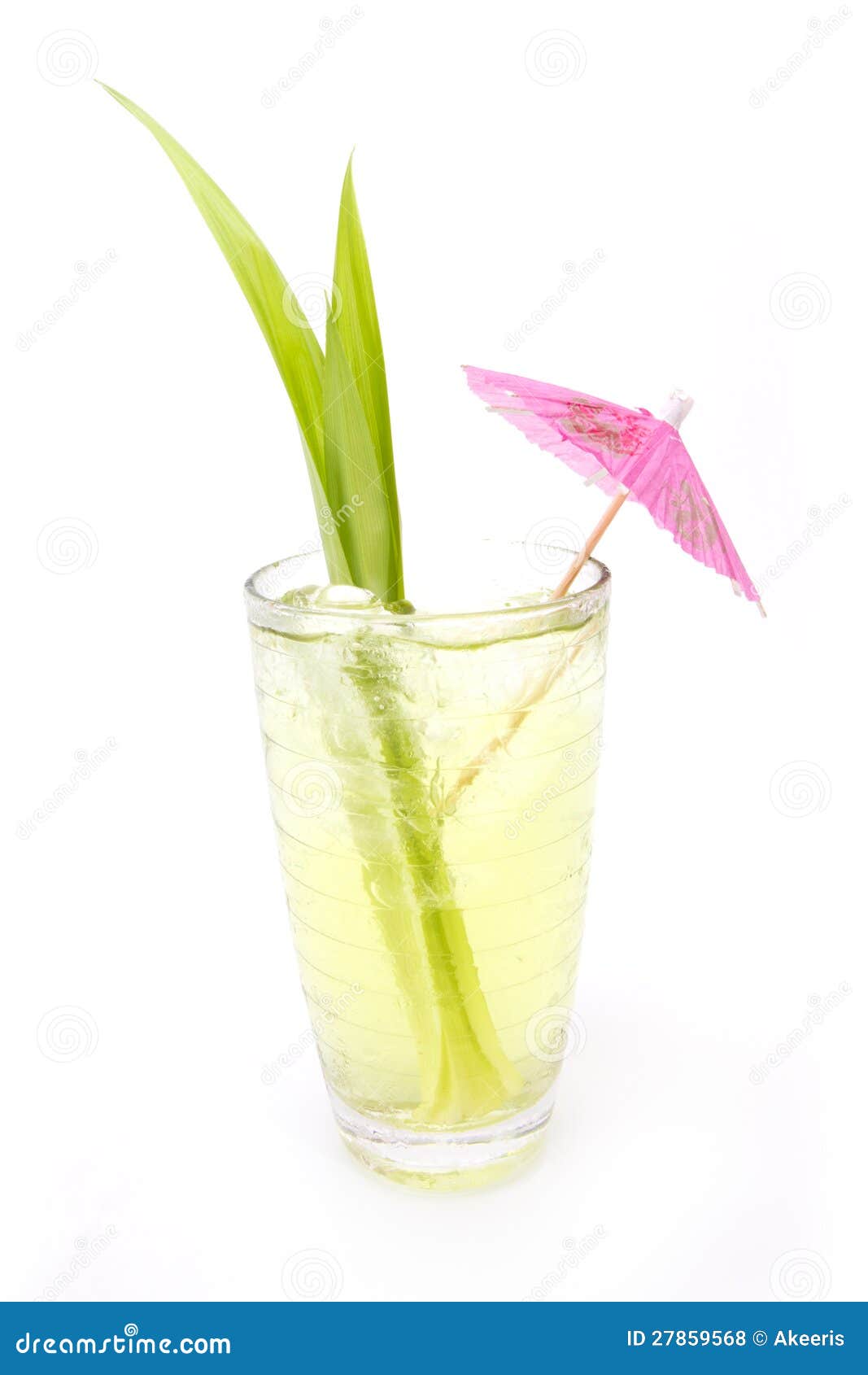 Pandan juice stock photo. Image of ripe, juice, isolated - 27859568