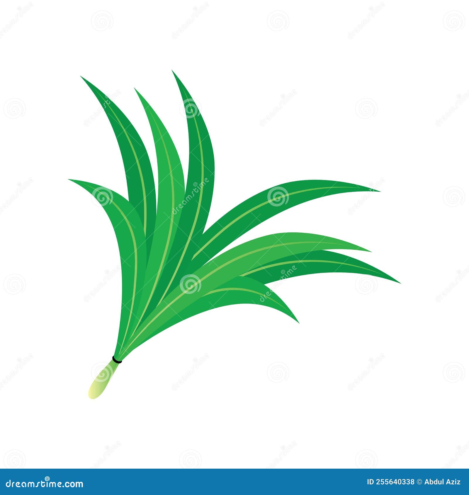 Pandan Leaf Illustration Icon Free | CartoonDealer.com #255640338 Pandan Leaf Illustration Icon Free | CartoonDealer.com #255640338