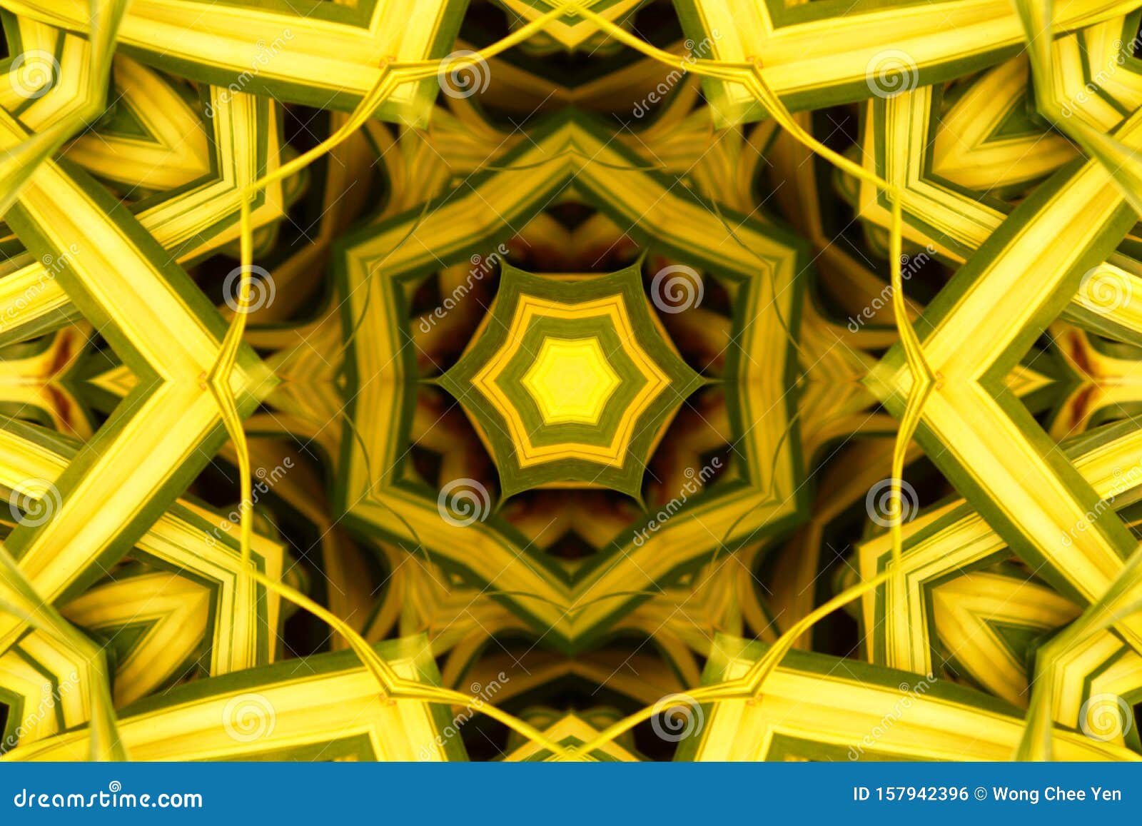 Pandan Leaves Six Sided Symmetrical Pattern Stock Illustration ...