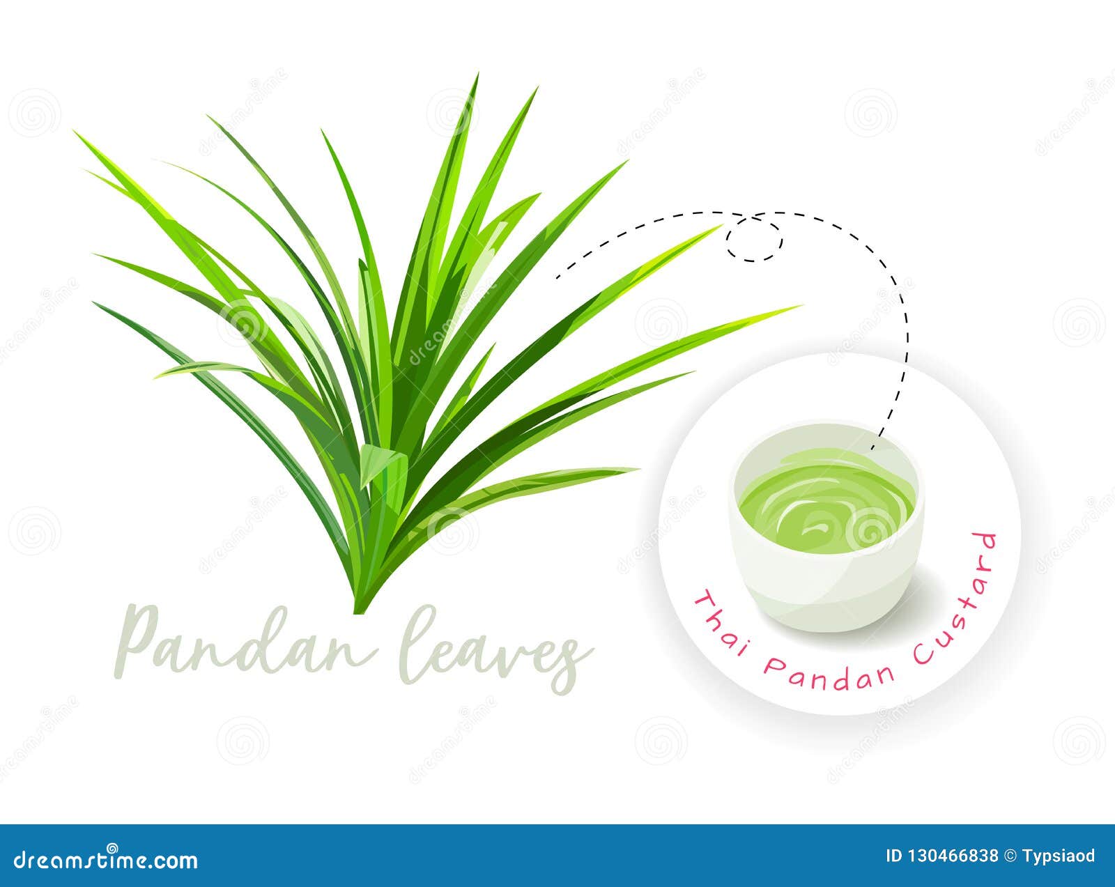 Pandan Leaves and Pandan Steamed Custard. Stock Vector - Illustration ...