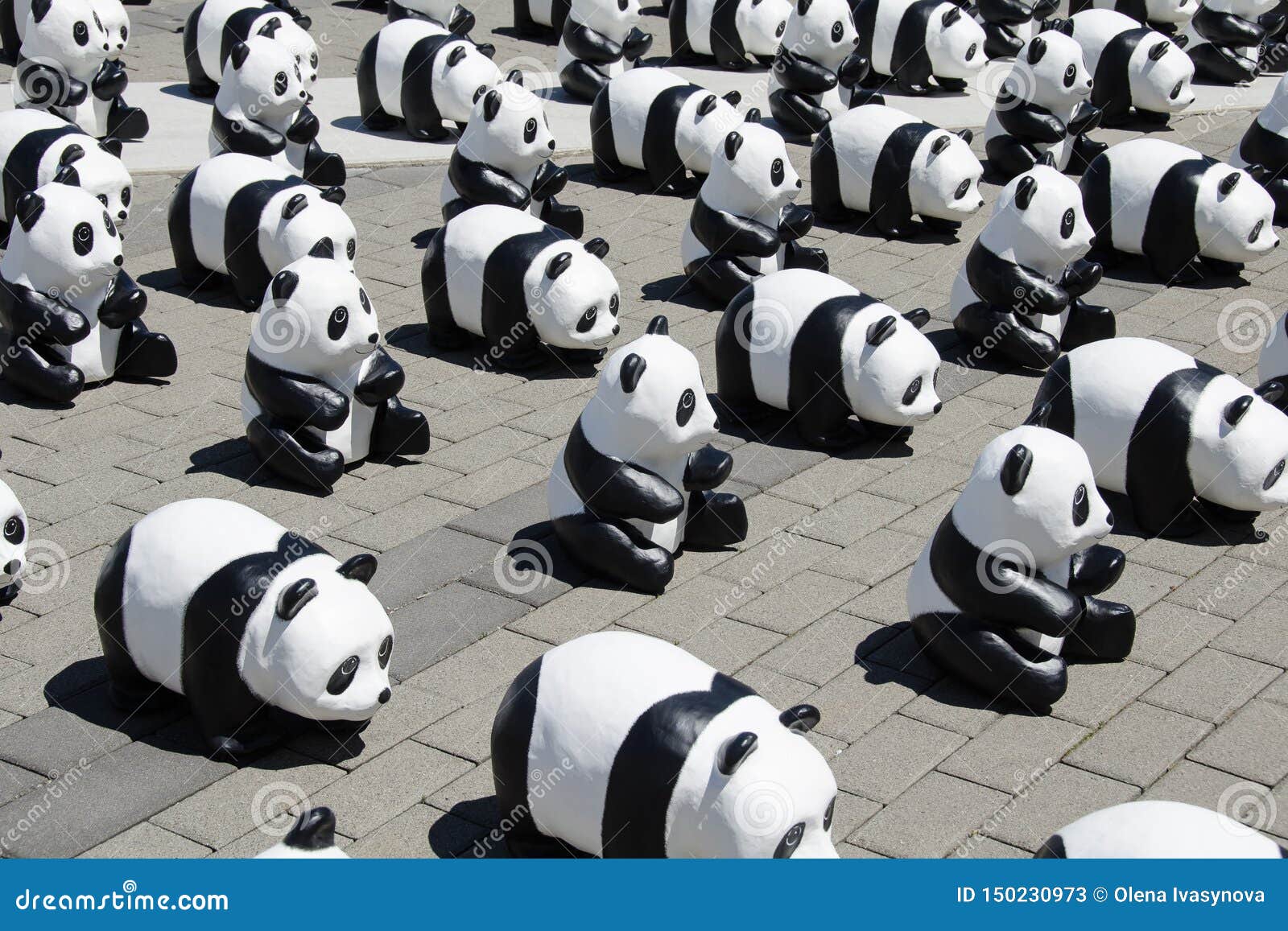 Pandas. No One Will Pass by Stock Image - Image of pretty, baby: 150230973