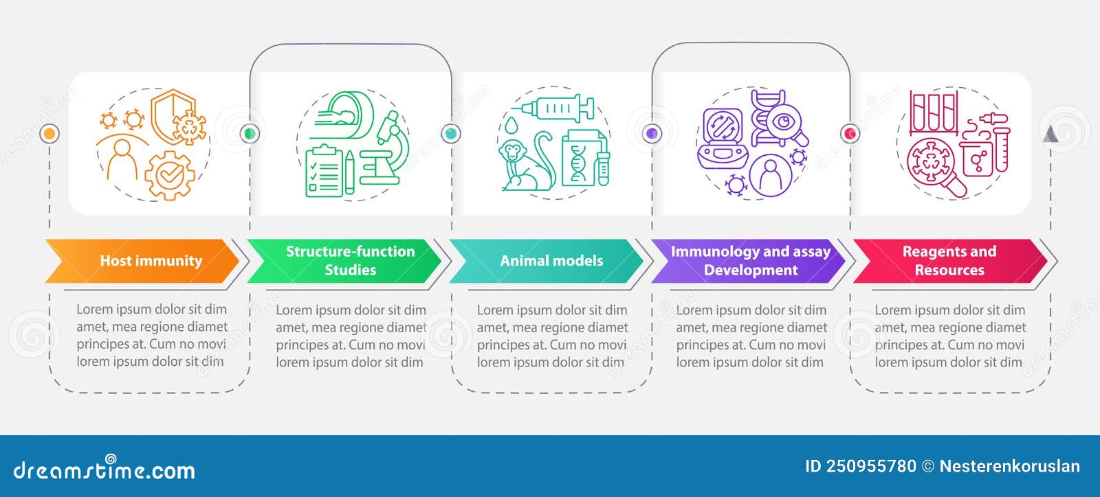 Pandemic Preclinical Research Rectangle Infographic Template Stock ...