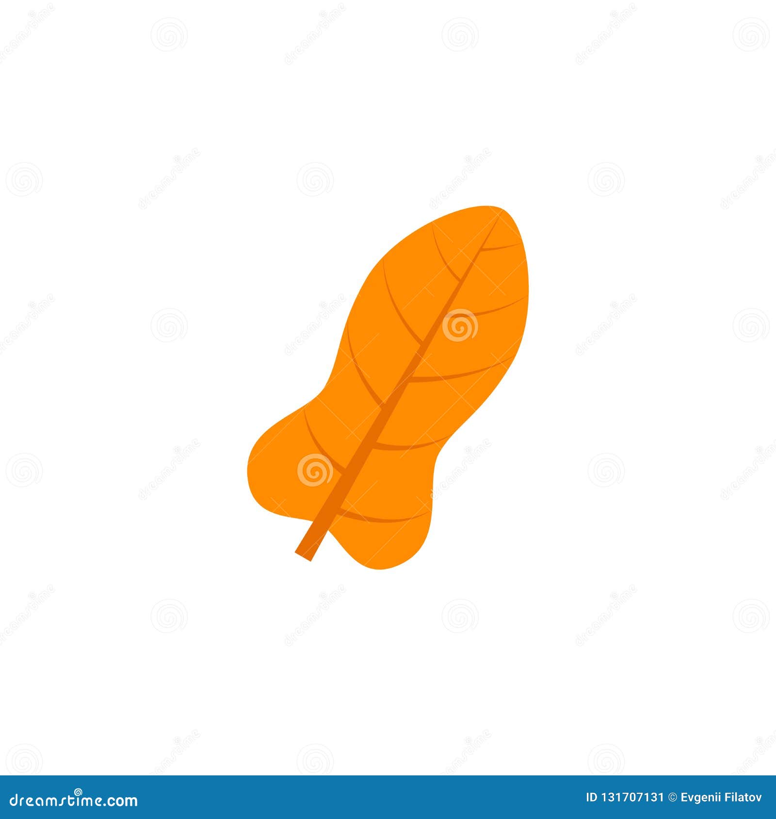 Pandurate leaf flat icon stock vector. Illustration of symbol - 131707131