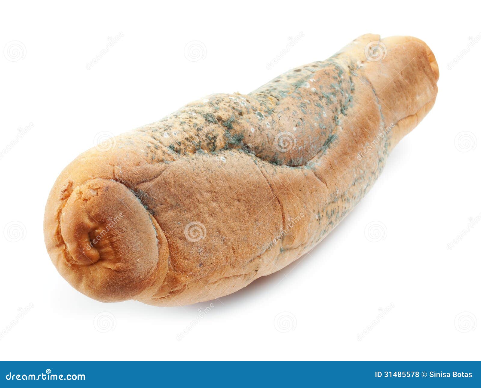 Pane ammuffito fotografia stock. Immagine di funghi, sfondo - 31485578