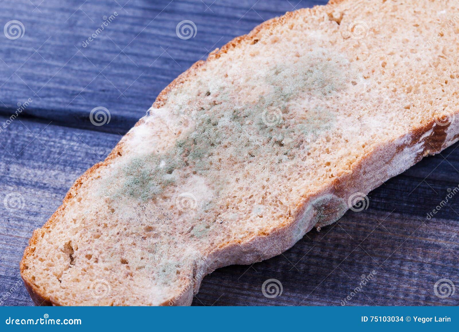 Pane Con La Muffa Sulla Tavola Fotografia Stock - Immagine di fungoso ...