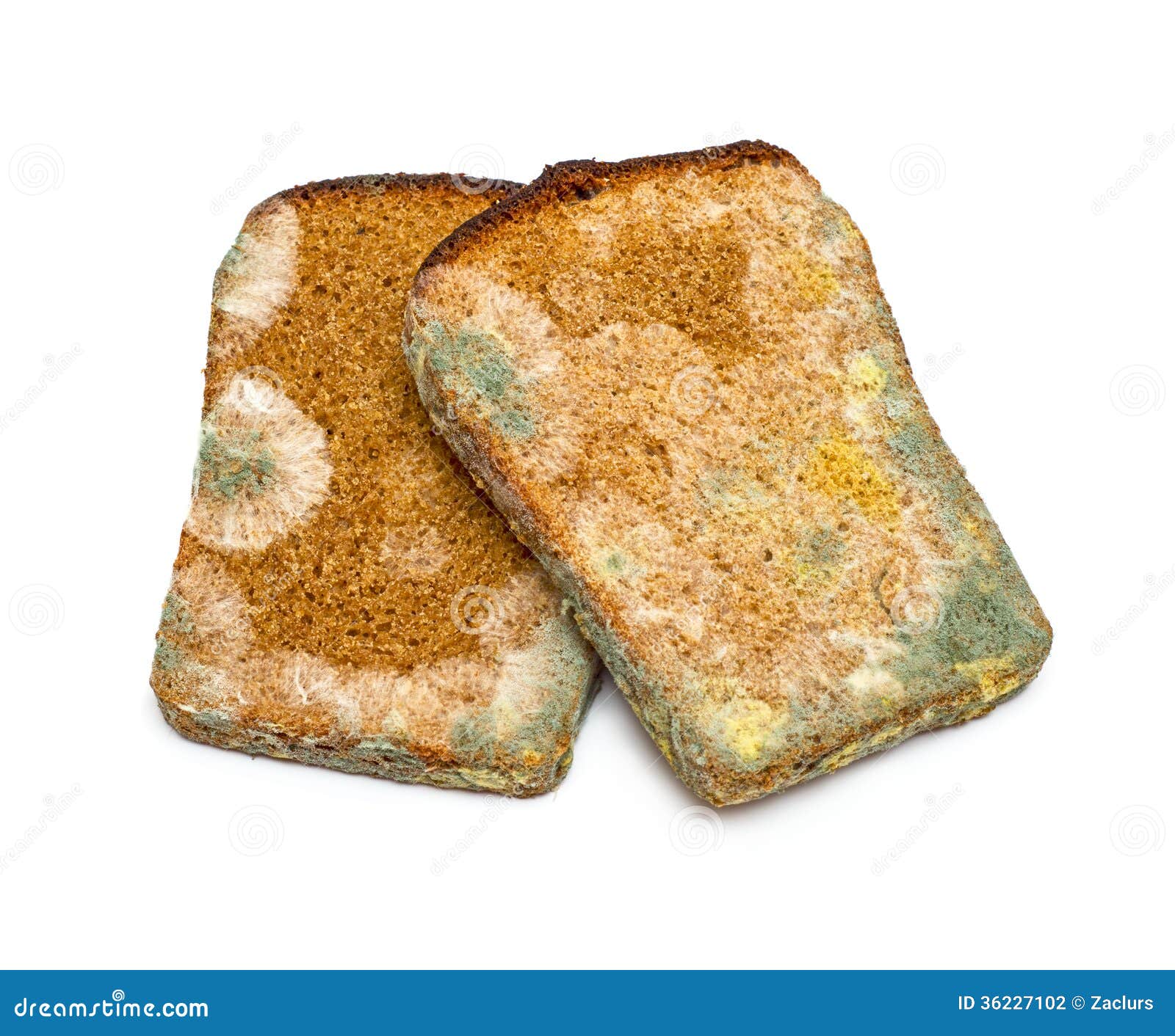 Pane di segale ammuffito fotografia stock. Immagine di invecchiamento ...