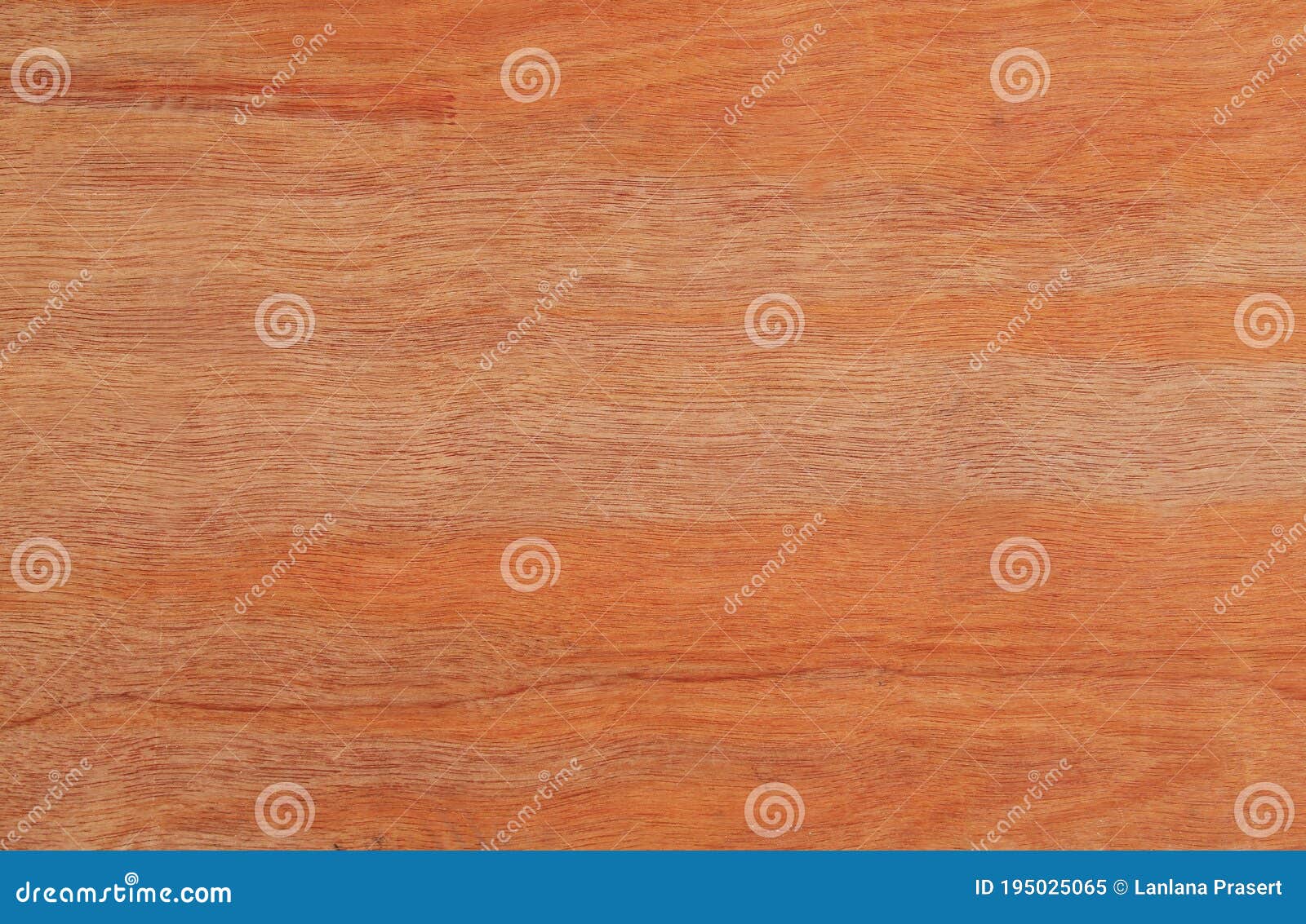 Panel De Fondo Con Madera De Teca Imagen de archivo - Imagen de pino ...