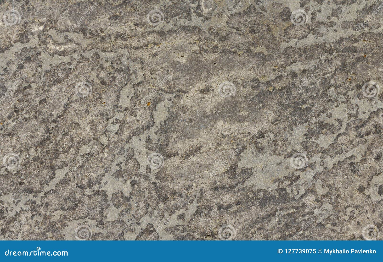 Panel Marble Natural Pattern for Architecture and Interior Design or ...