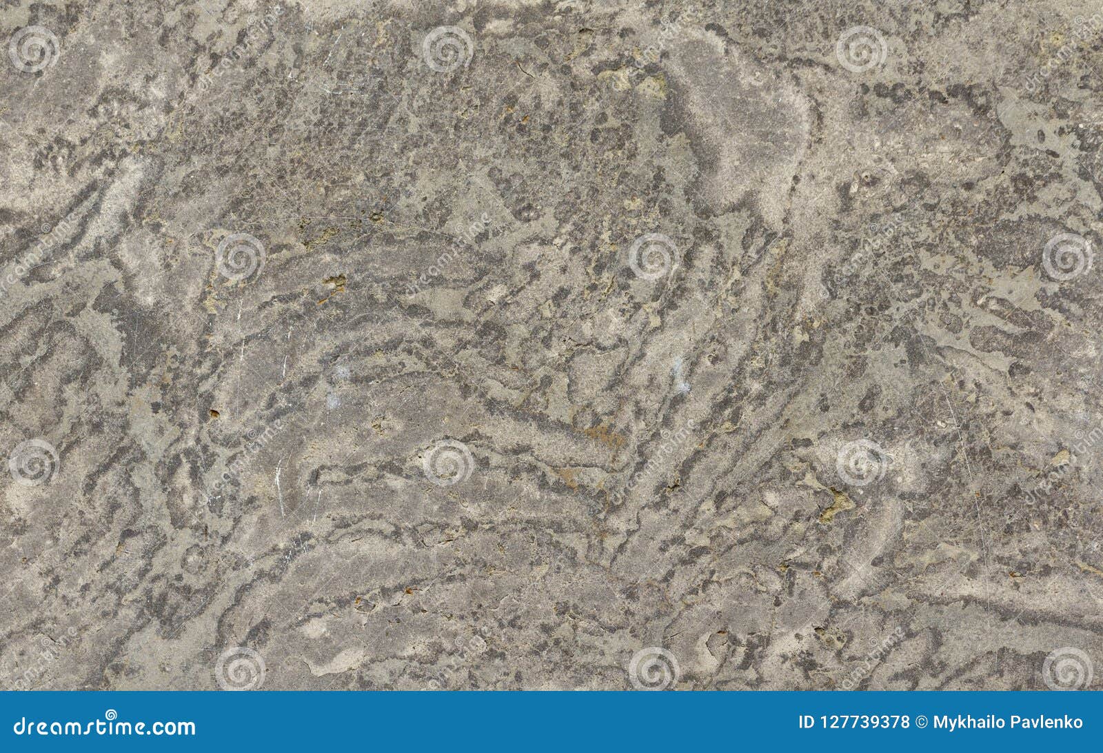 Panel Marble Natural Pattern for Architecture and Interior Design or ...