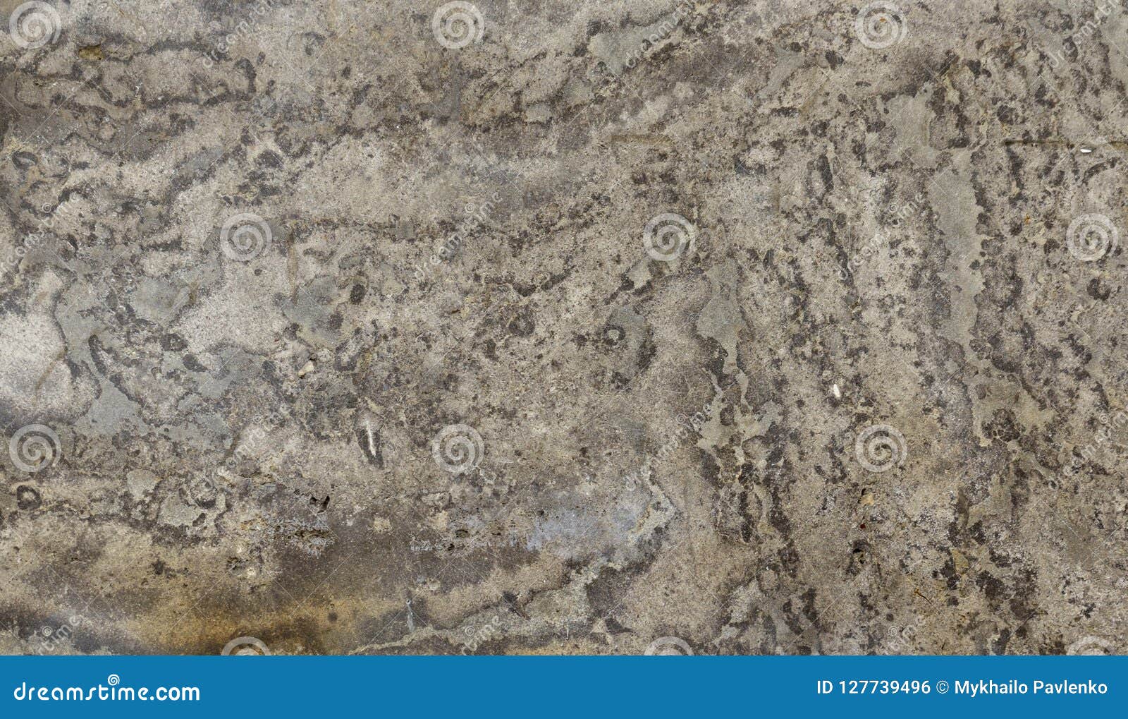 Panel Marble Natural Pattern for Architecture and Interior Design or ...
