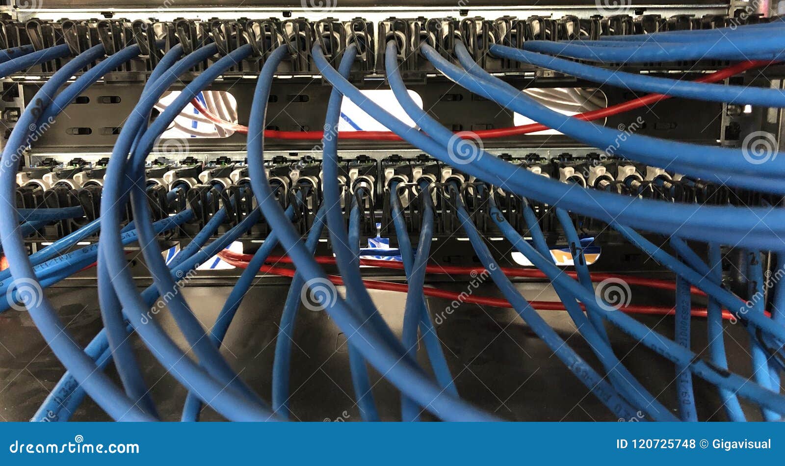 Panel Network Connections with Cables Stock Photo - Image of cord, rope ...