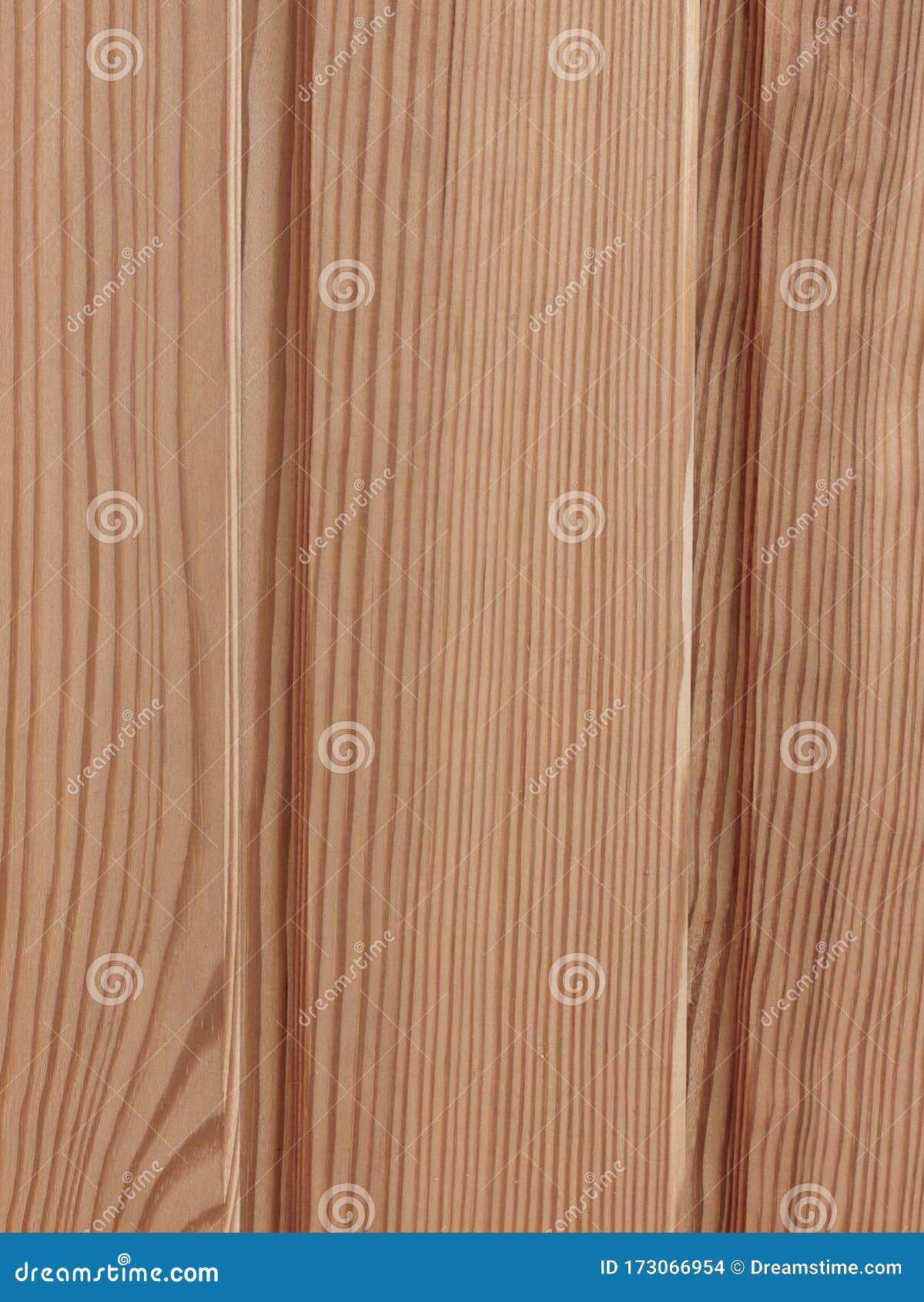 Panel Parquet Laminated Sheet Stock Photo - Image of nature, wooden ...