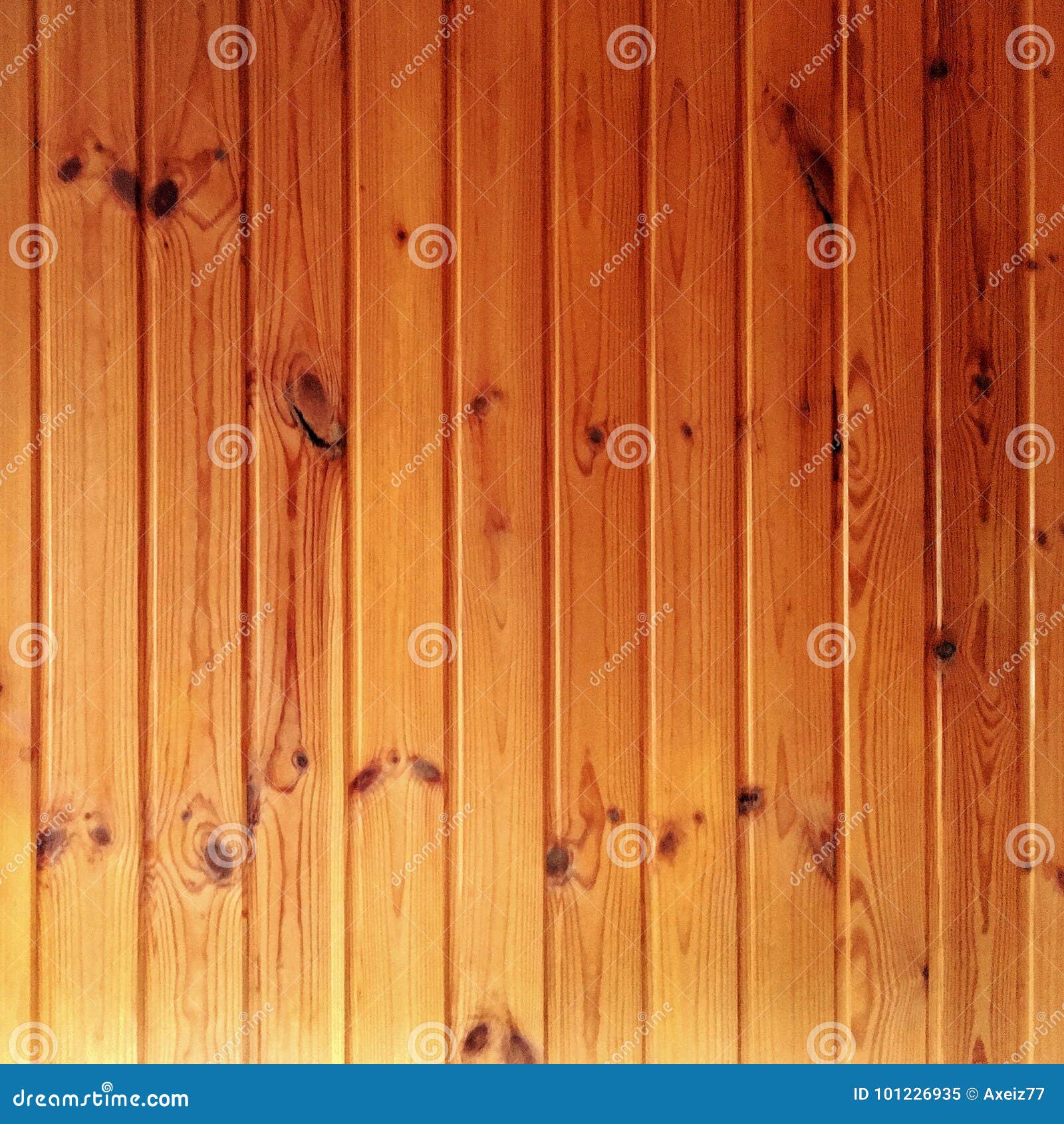 Panel of pine boards stock image. Image of boards, background - 101226935