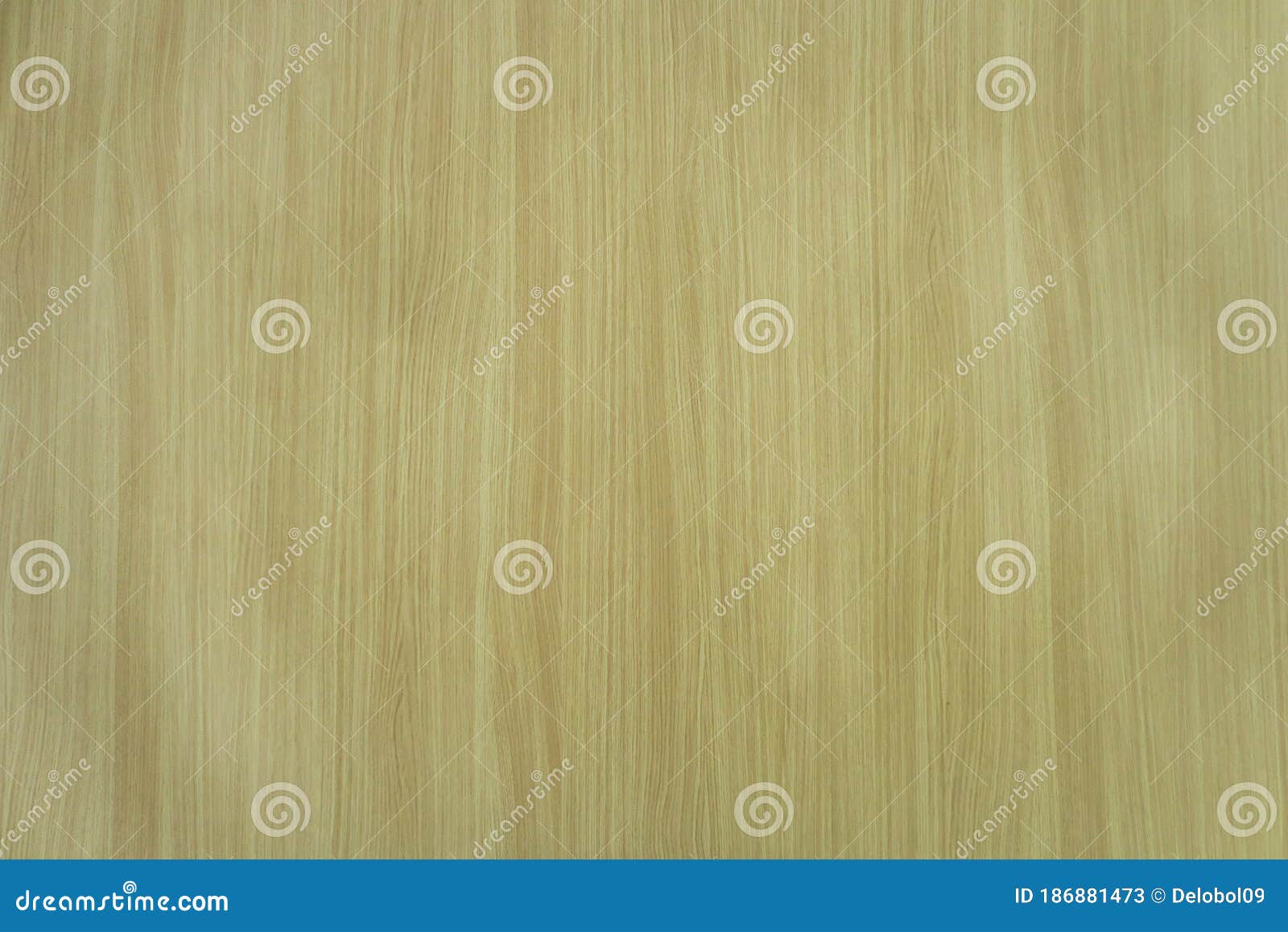 Panel with Texture Light Oak. Stock Image - Image of flooring, backdrop ...