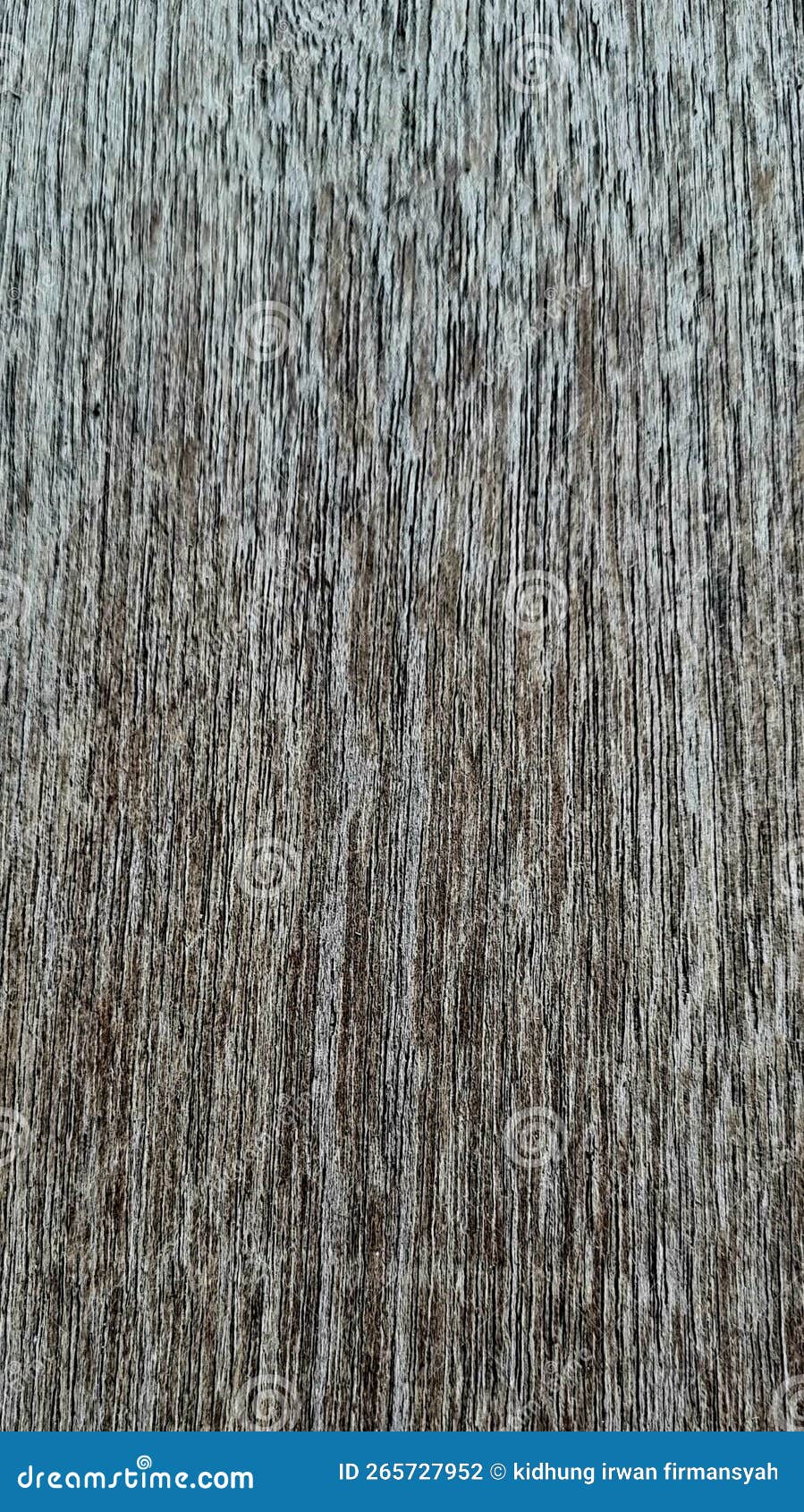 Panel Wood Patern My Project Stock Photo - Image of patern, grey: 265727952