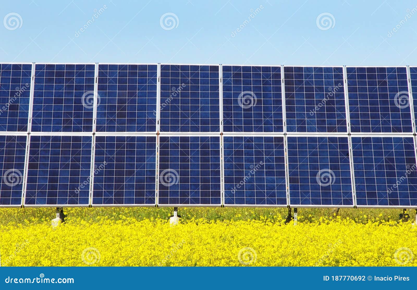 Paneles solares en campo foto de archivo. Imagen de colector - 187770692