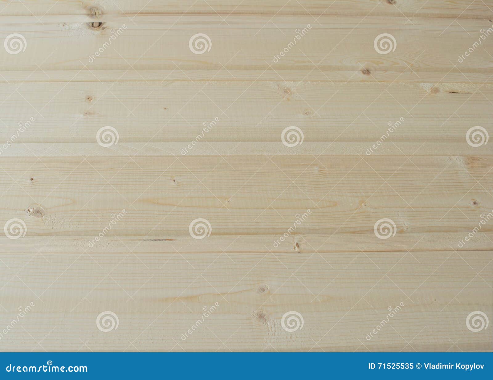 Paneling De Madeira De Um Pinho Imagem de Stock - Imagem de velho ...