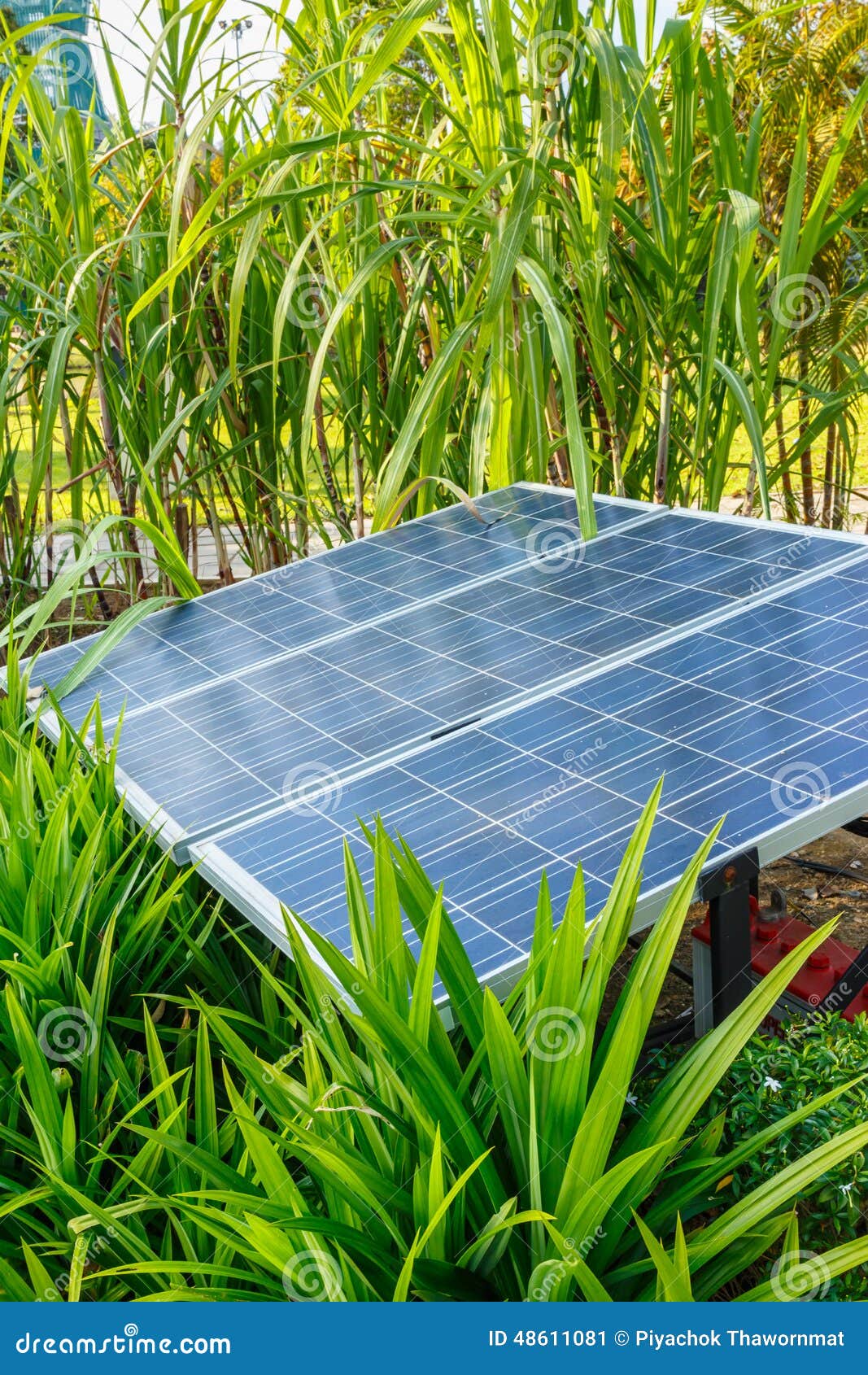 The Panels of Solar Cell in a Garden. Stock Image - Image of ...