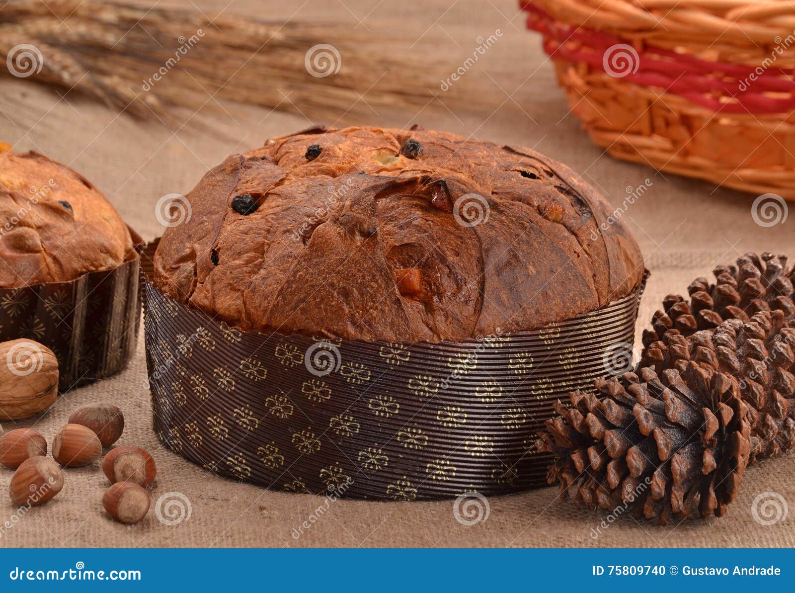 Fresh panetone. stock photo. Image of orange, healthy - 75809740