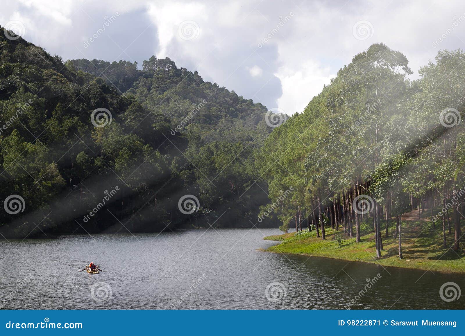 Pang Ung , Reflection of Pine Tree in a Lake Stock Image - Image of ...
