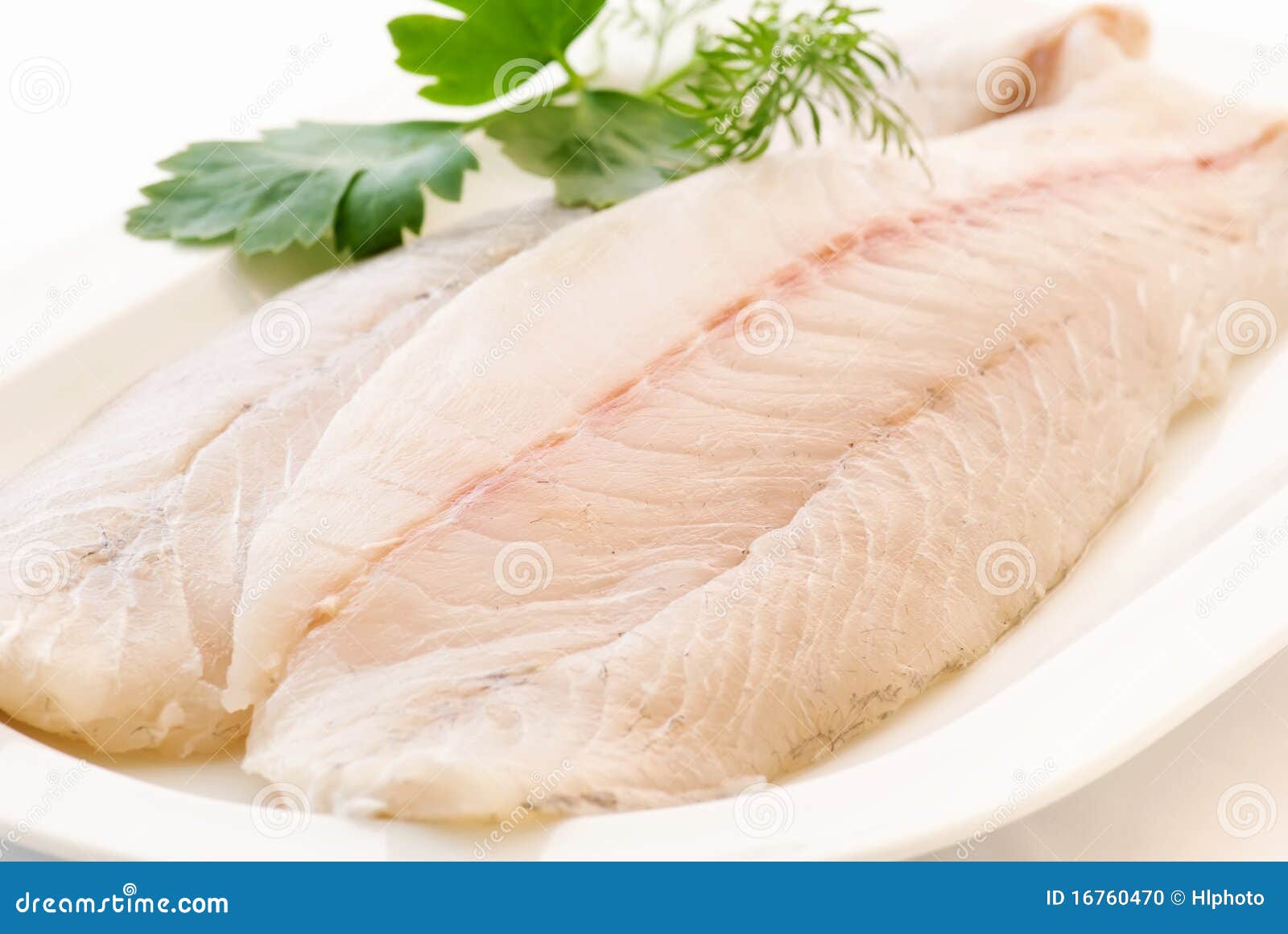 Pangasius Filet stock photo. Image of fillet, food, greenfish - 16760470