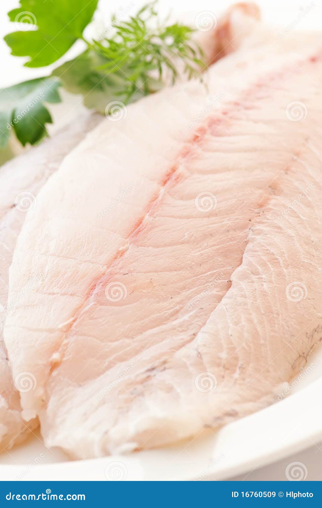 Pangasius filet stock image. Image of fillet, eating - 16760509