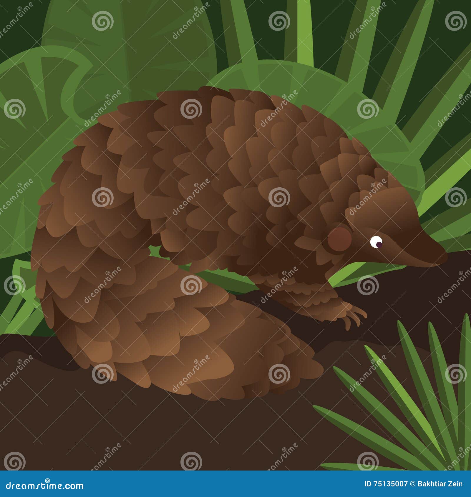 Pangolin Between Leaf In Forest Drawing Illustration Cartoon Vector ...