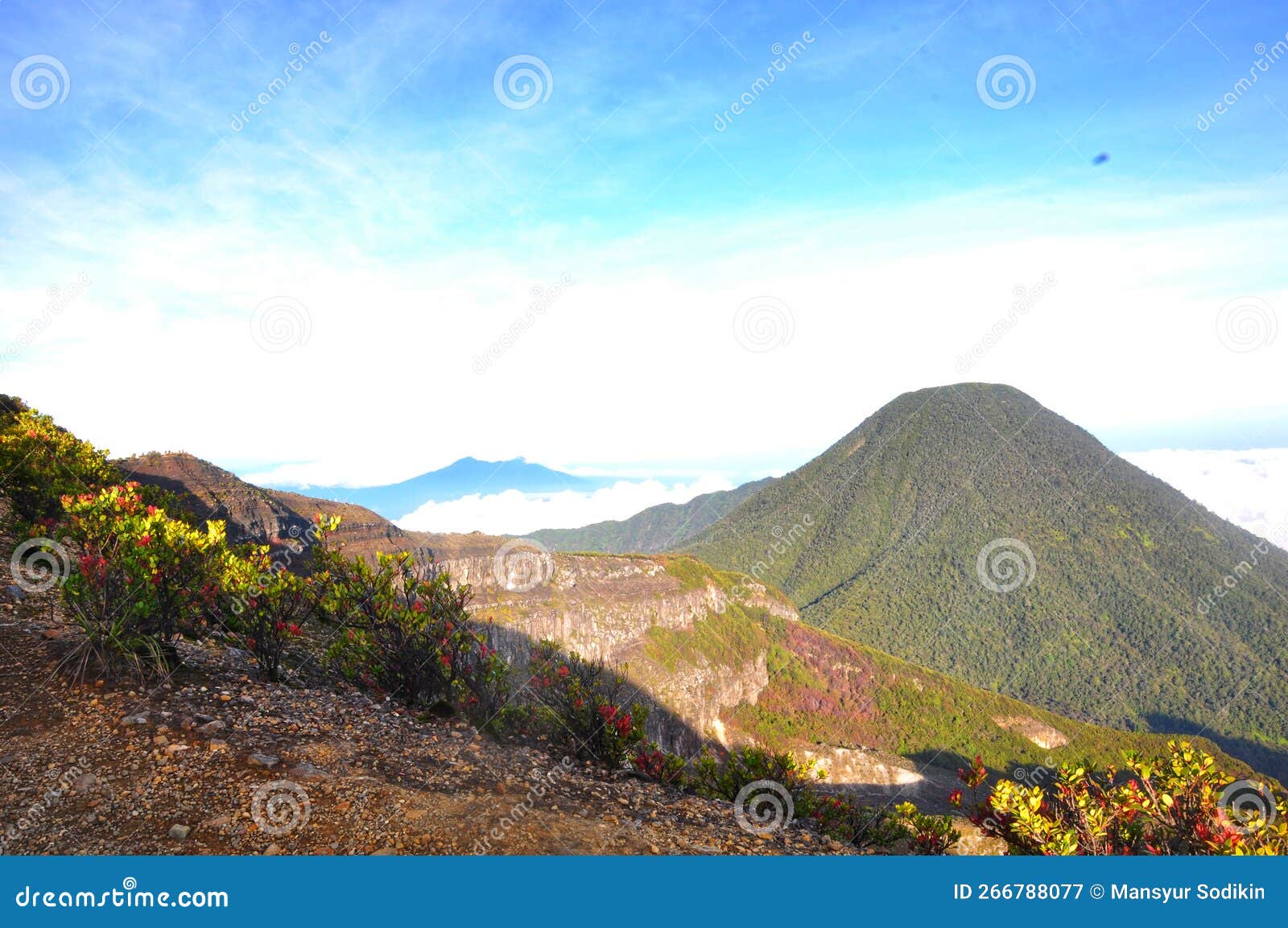 Pangrango Mountain stock image. Image of cianjur, asian - 266788077