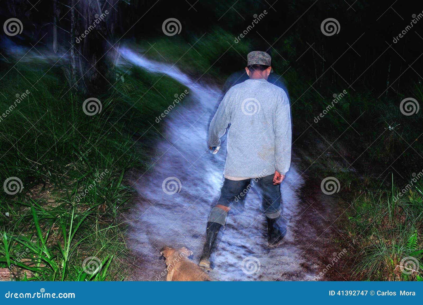 Panguana - Perú fotografía editorial. Imagen de cubo - 41392747