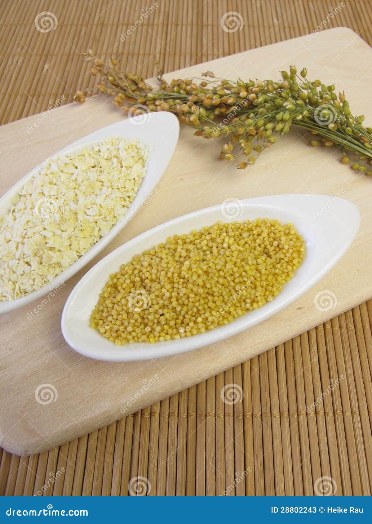 Panicle Millet, Millet Grains and Rolled Millet Stock Image - Image of ...